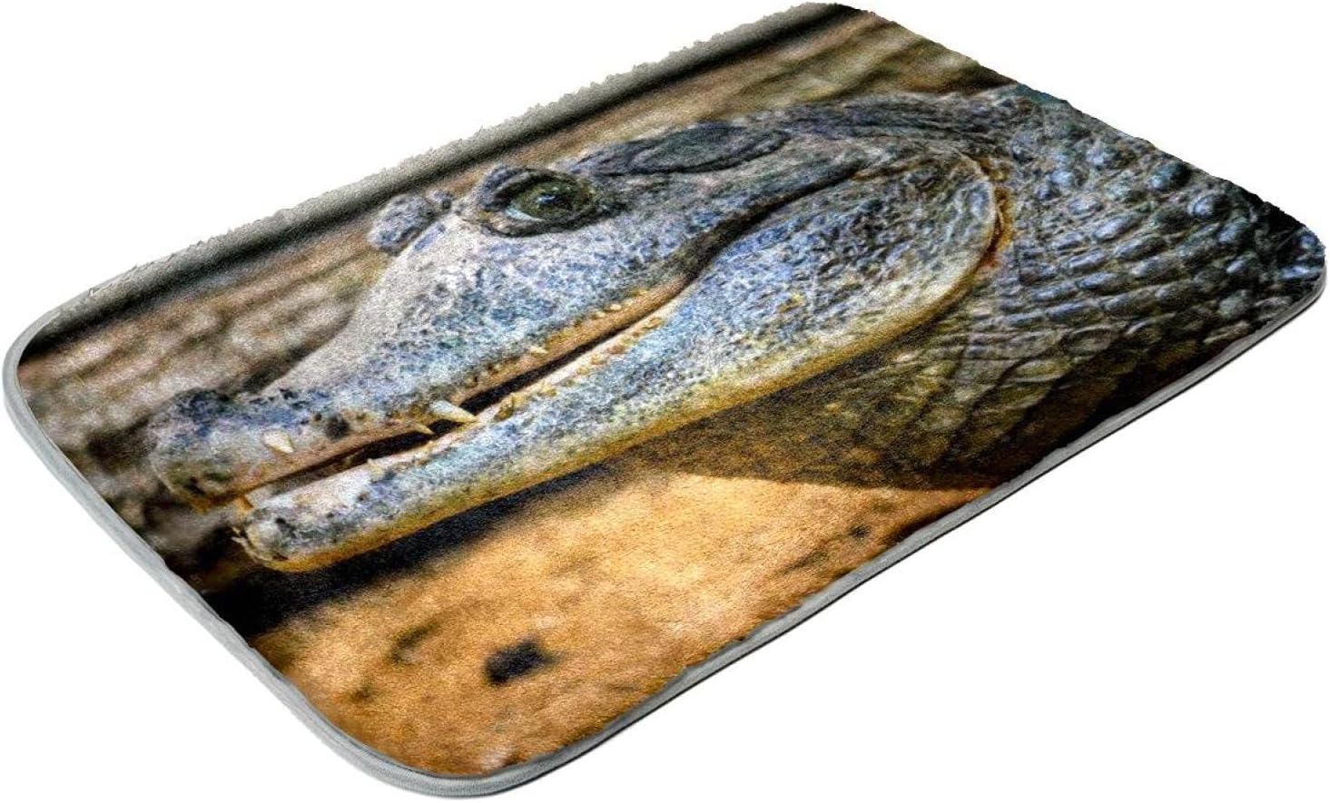Amazon.com: Fluffy Area Shag Rug Ultra Soft for Bedroom Crocodile ...