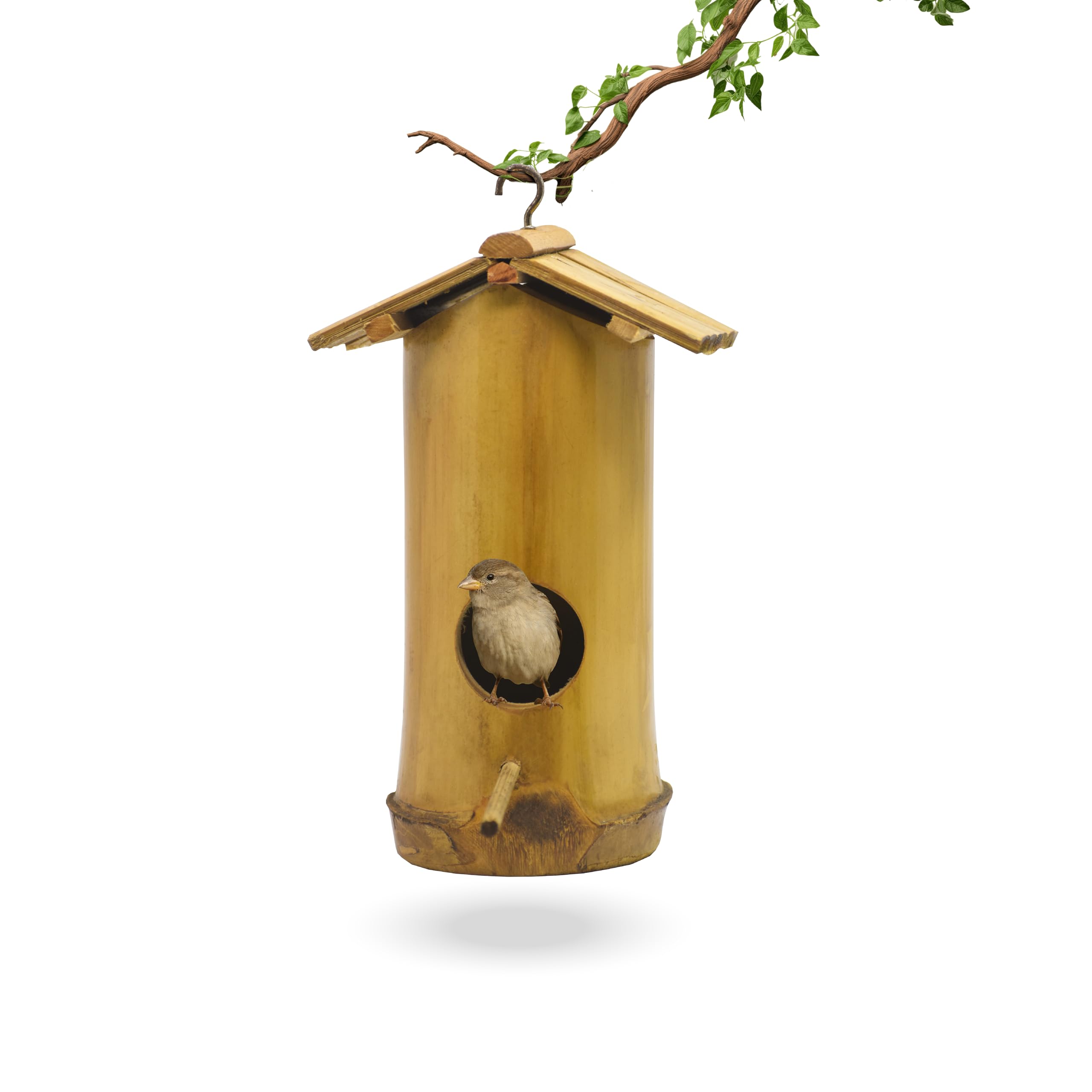 Bamboo Bird House Plans Bamboo Bird Houses