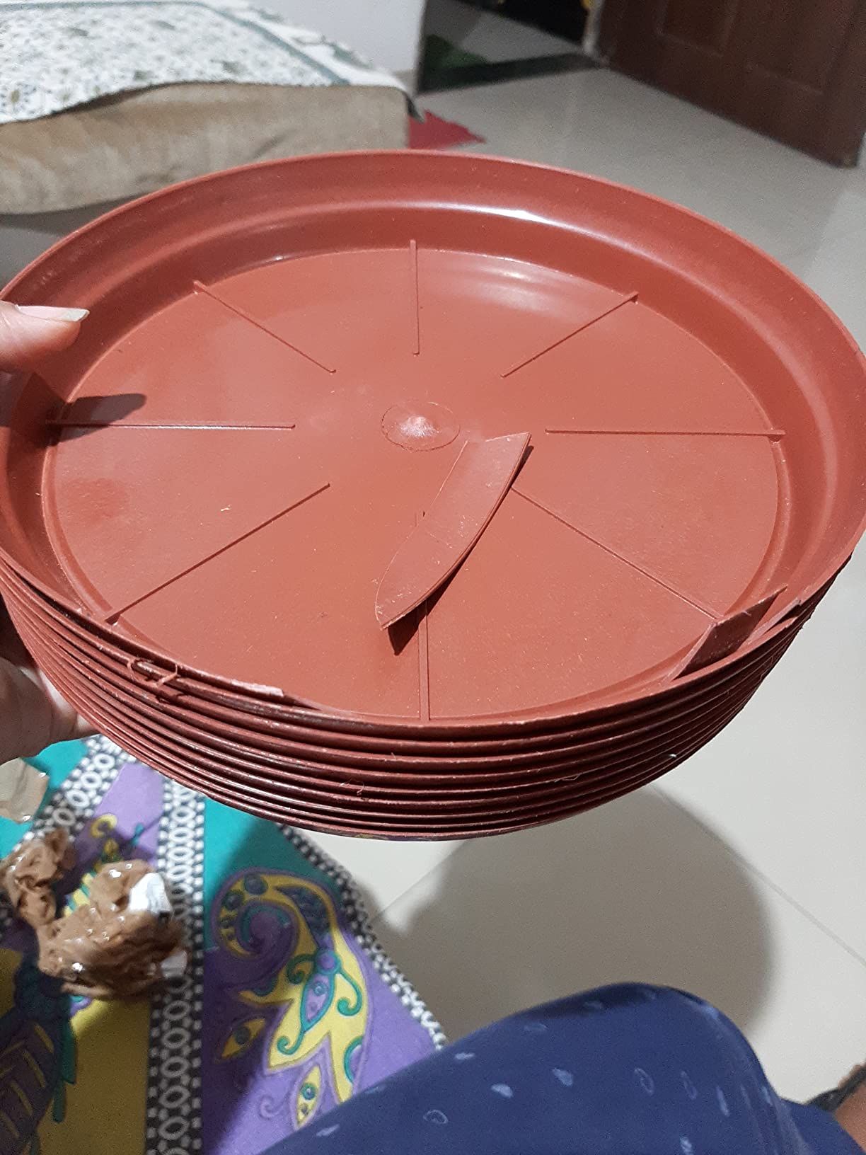 PlantaZee Plastic Gamla/Planter/Pot with Bottom Plate/Tray, 8 inch ...