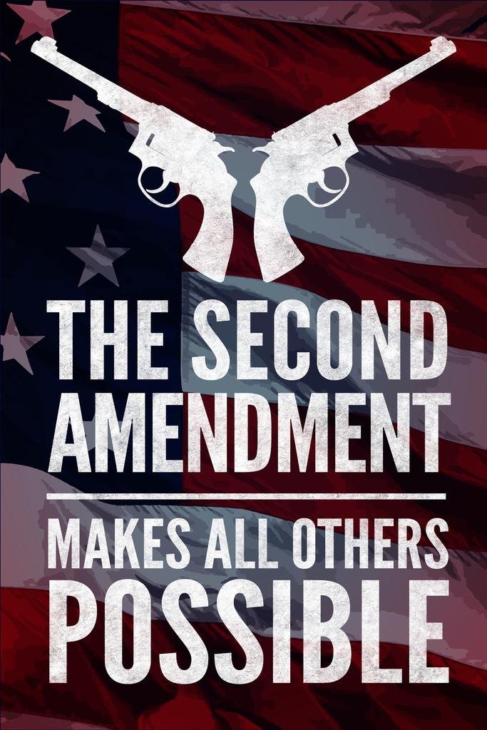 2nd Amendment School Poster The Future Of The Second Amendment With