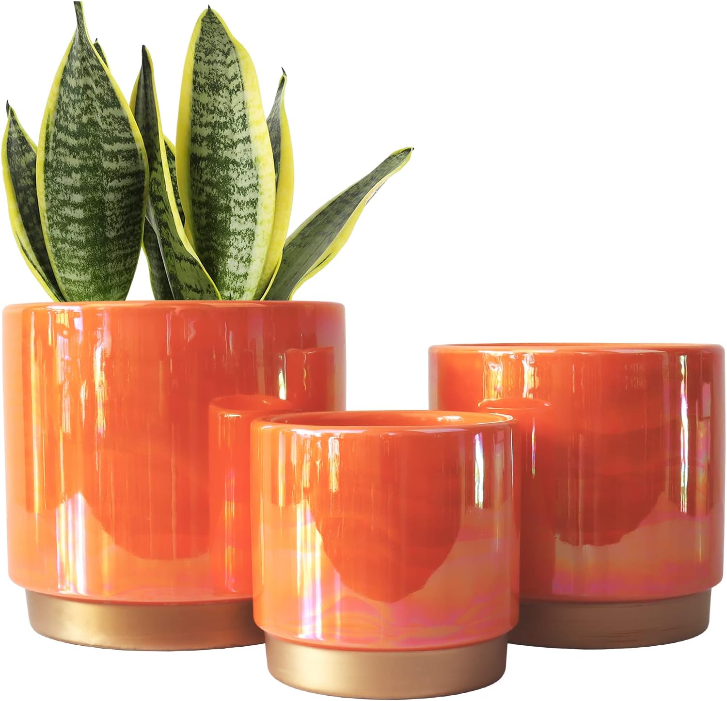 Amazon.com : homenote Plant Pots Indoor 6/4.8 inch Pack 2, Ceramic ...