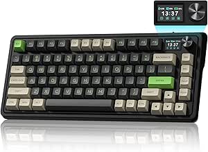 Amazon.com: FL ESPORTS CMK75 Mechanical Keyboard: 75% Layout w/TFT ...