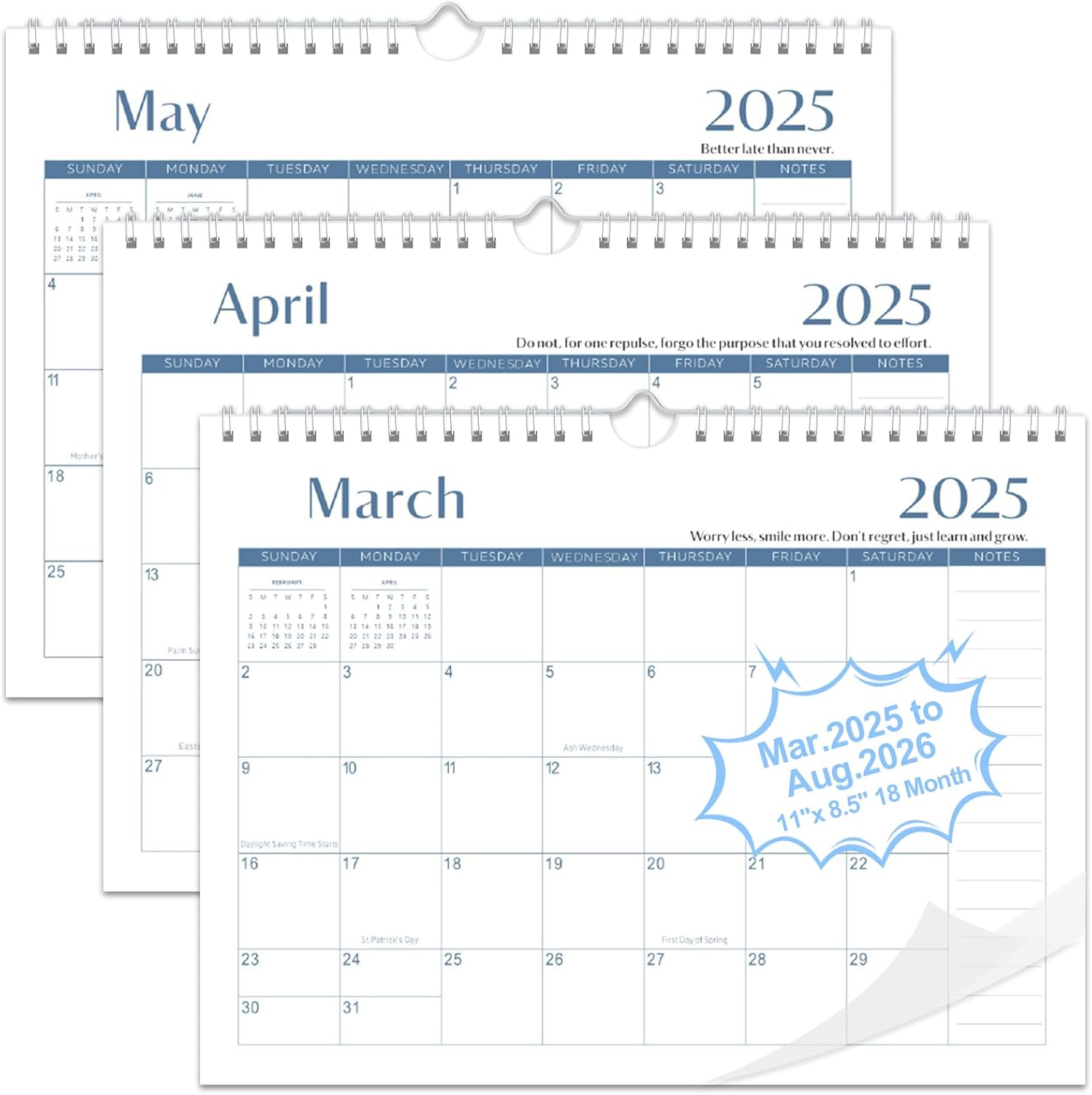 To view this video download Flash Player