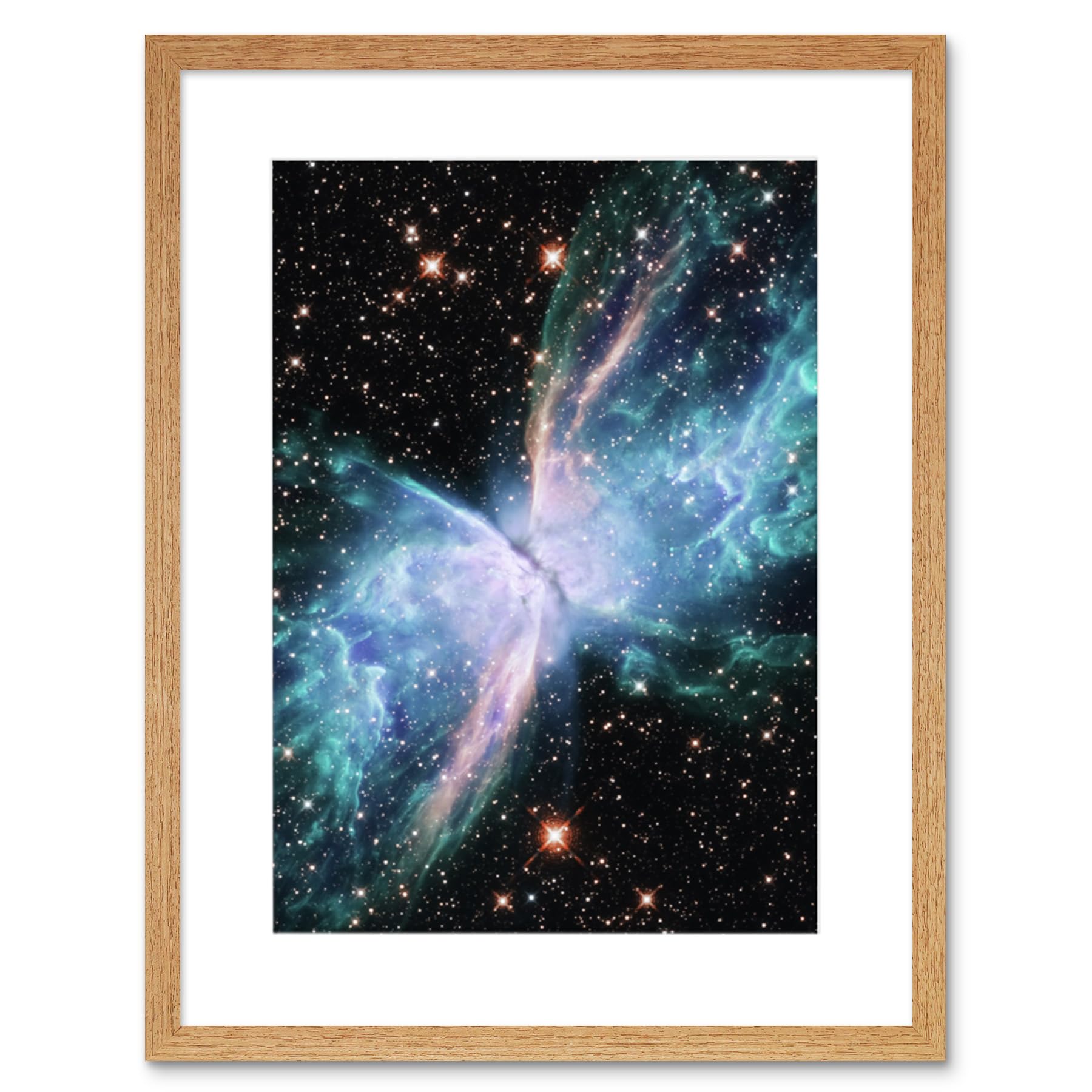 6302 Nebula Butterfly