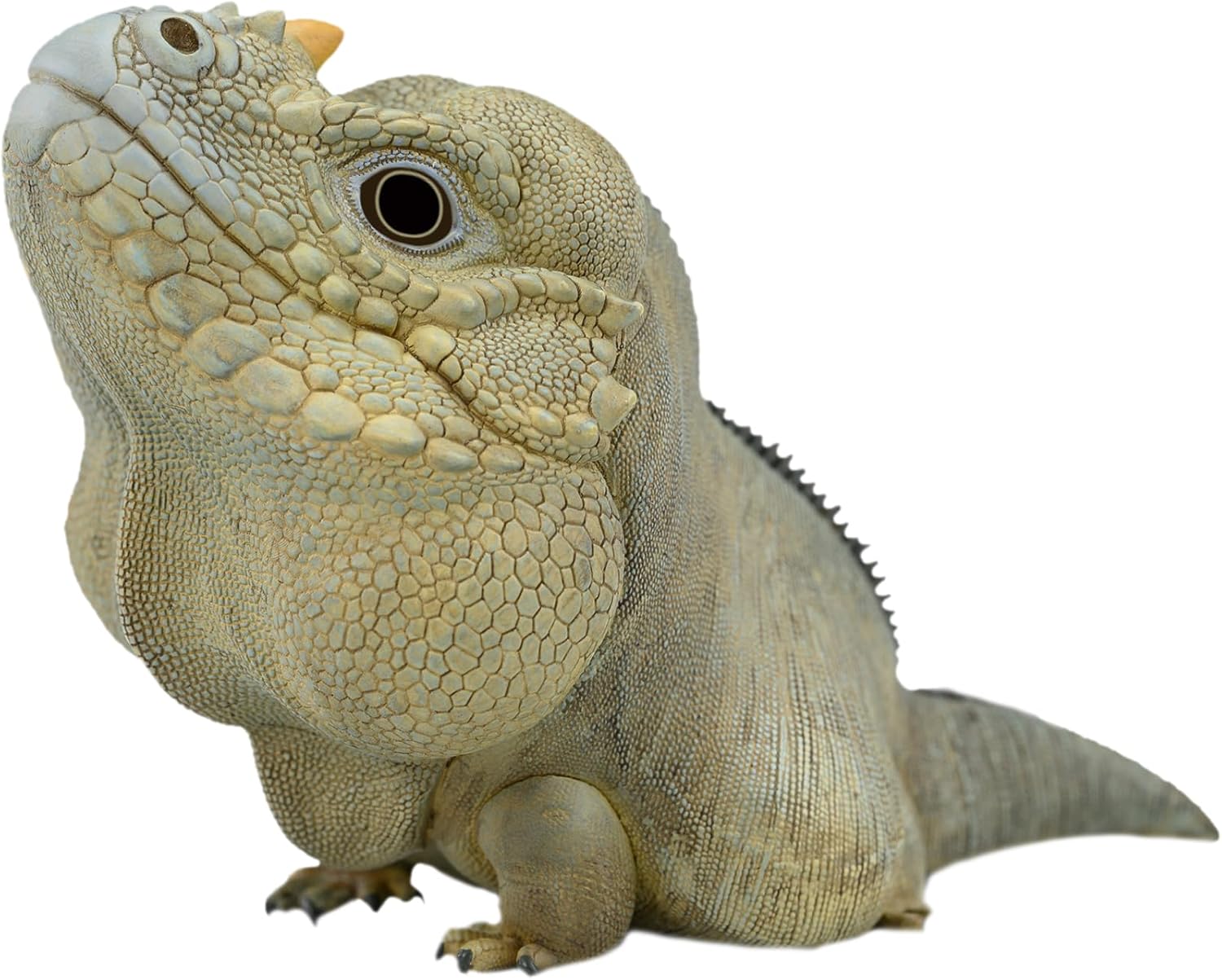 Amazon.com: Animal Heavenly Body Series 16 Reptile Chubby Collectible ...