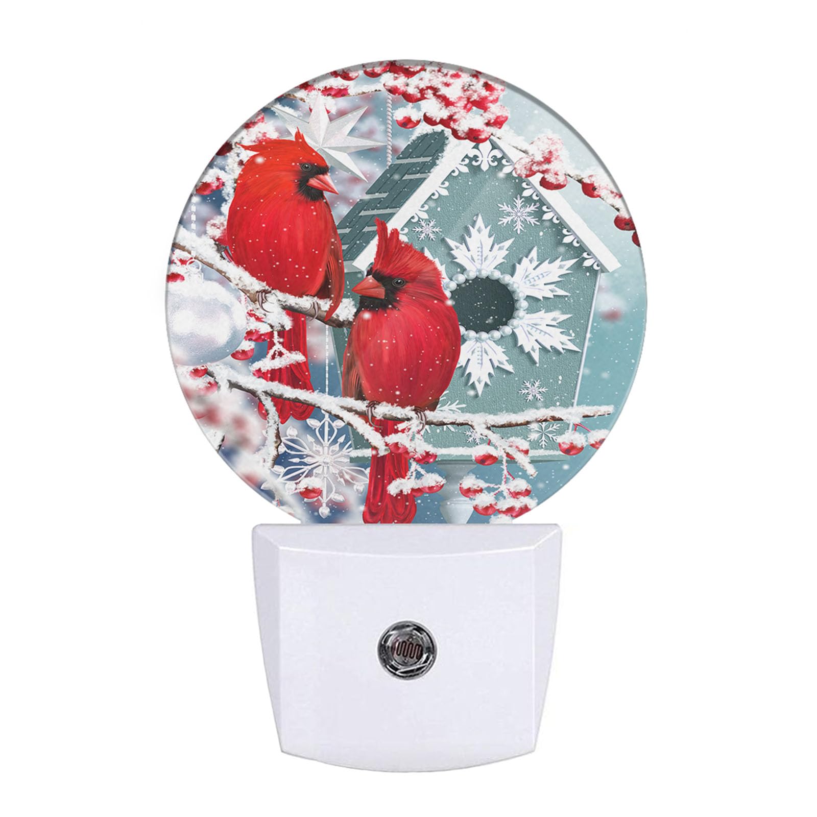 Uanvaha Bird Cardinal Night Light Snowy Tree Red Birds on Branch Winter ...