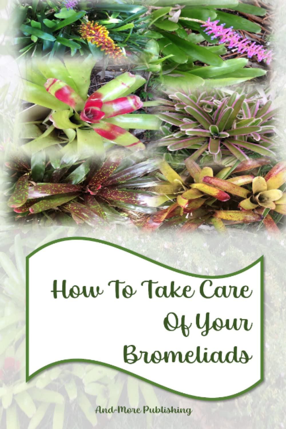 How To Take Care Of Your Bromeliads: Amazon.co.uk: Publishing, And-More ...