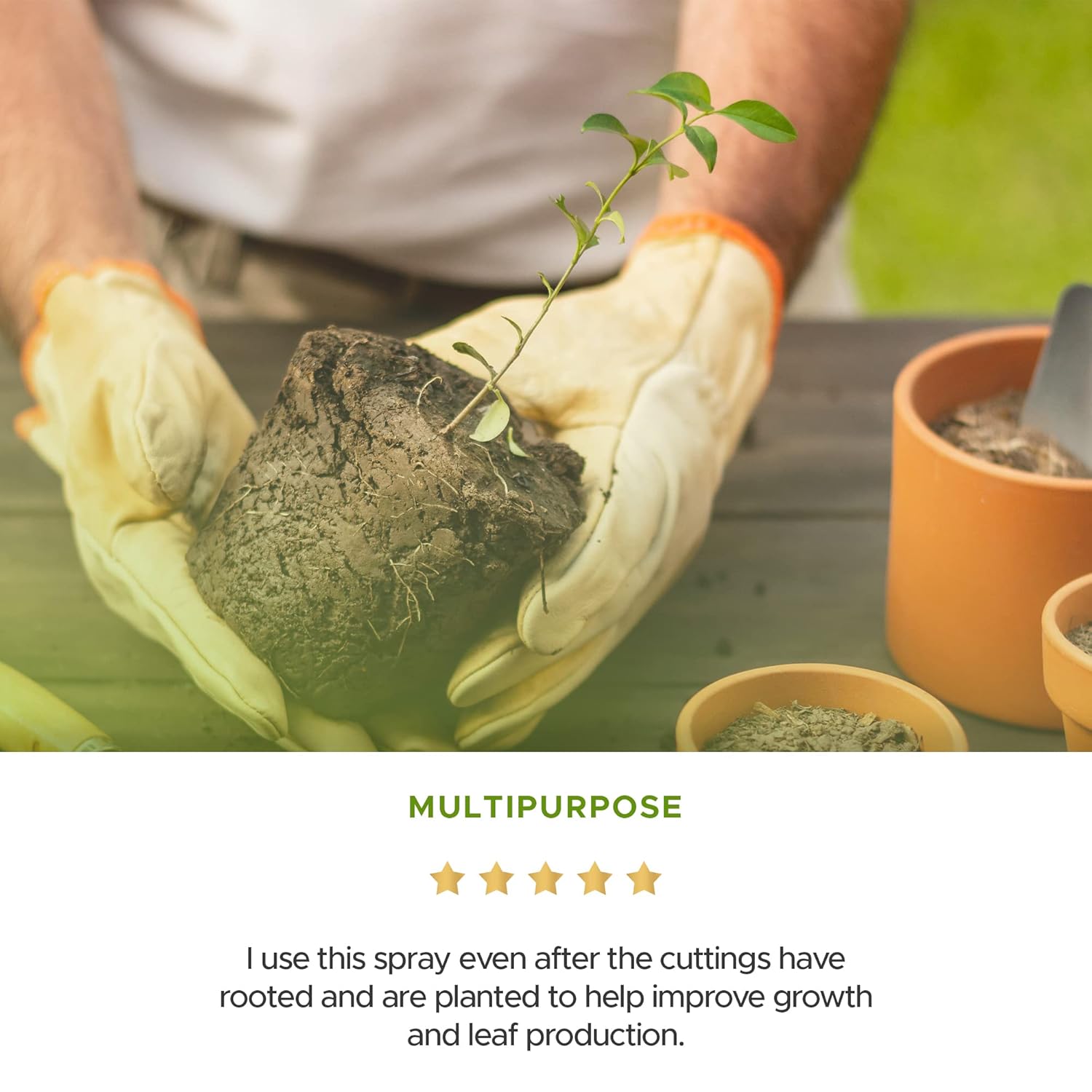 Buy Rooting Plant Spray for Cloning - Root Starter for Plant Cloning Kit - Stimulate Root Growth ...