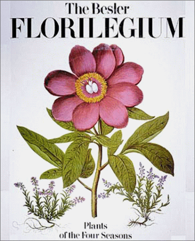 Besler Florilegium, The:Plants of the Four Seasons: Amazon.co.uk ...