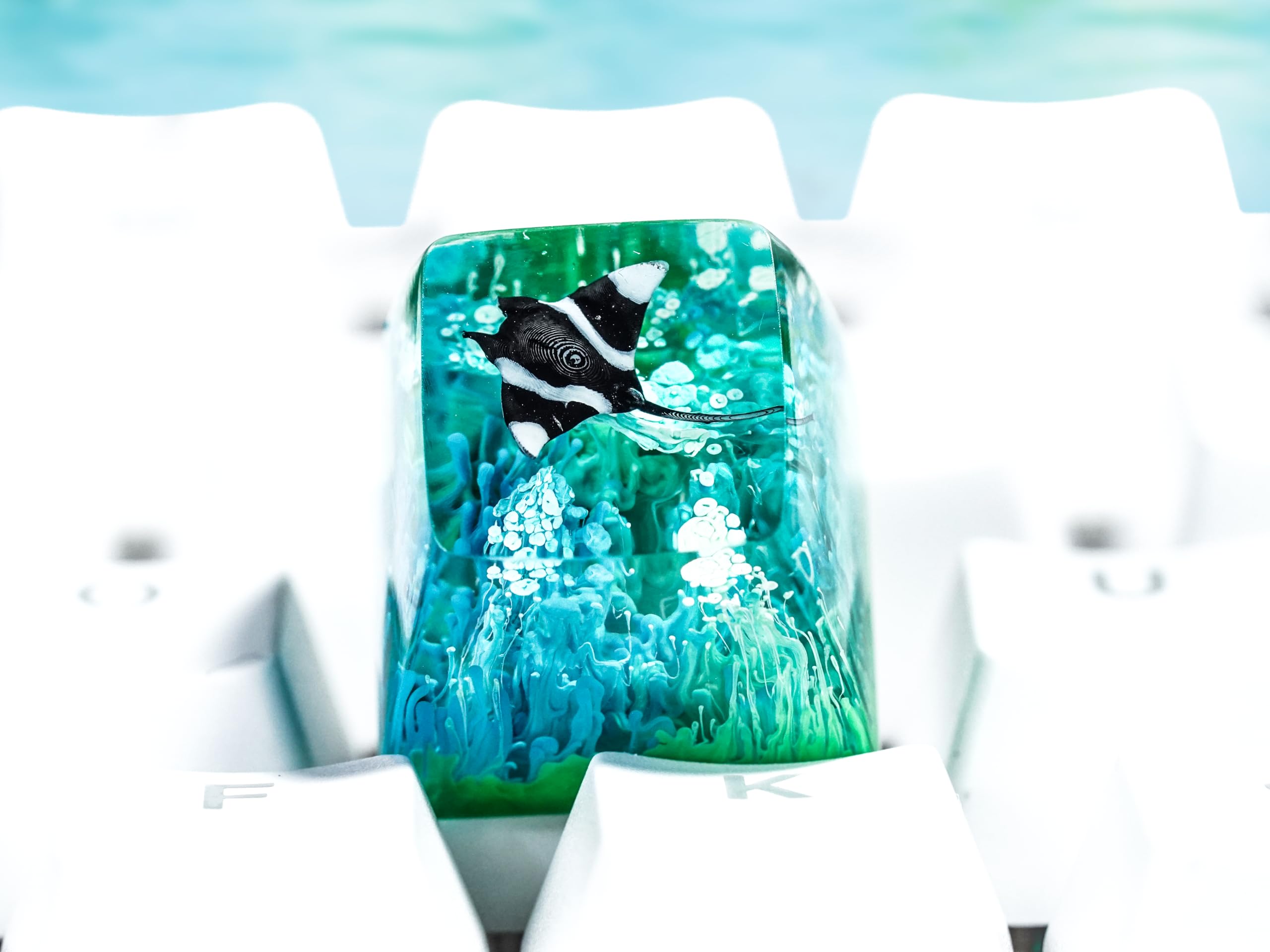 Esc Keycap JSJT Side Printed Keycaps -Shine Through Key Caps PBT ...