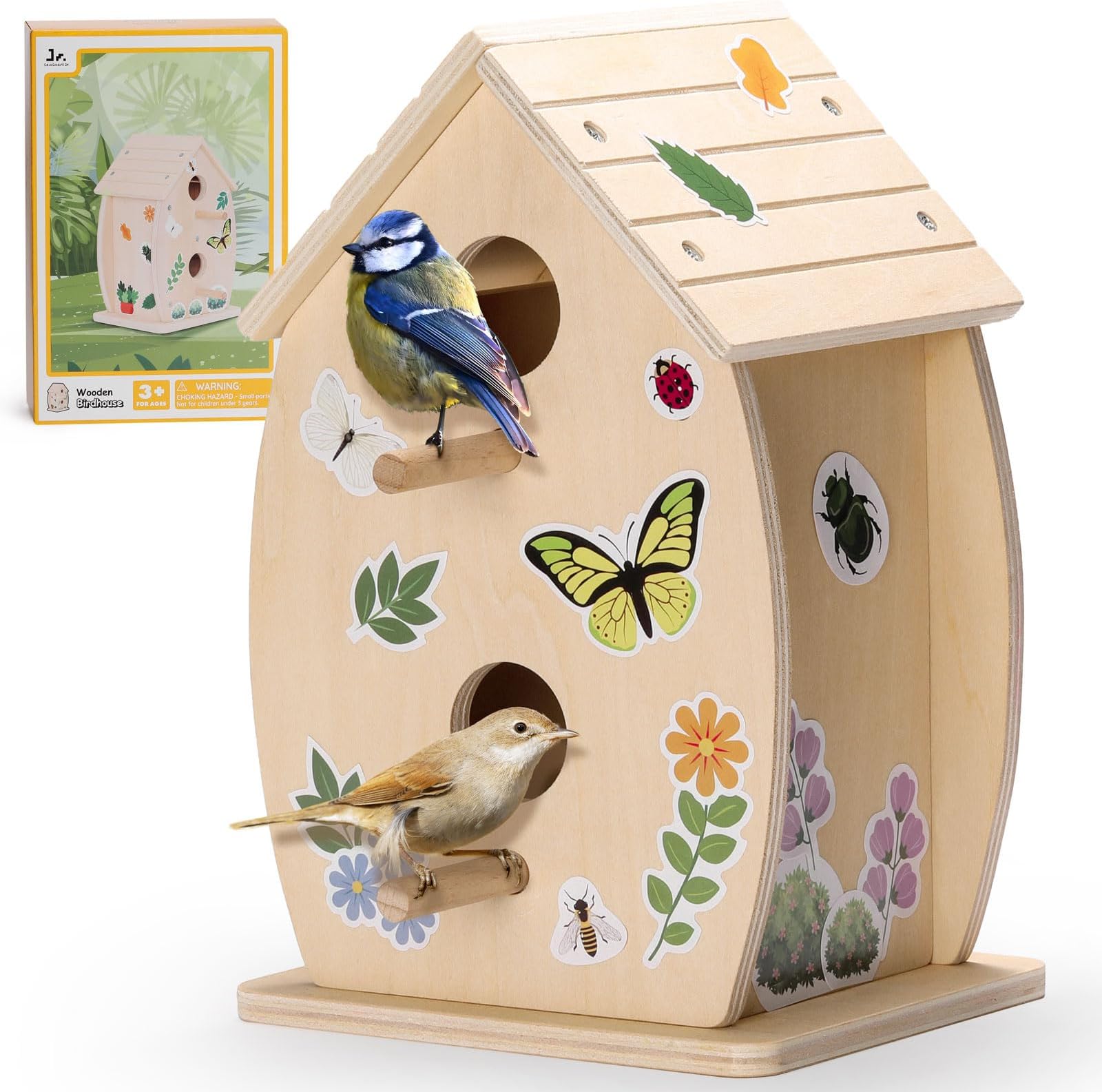 Amazon.com: SainSmart Jr. Bird House Kit for Kids to Build and Paint ...