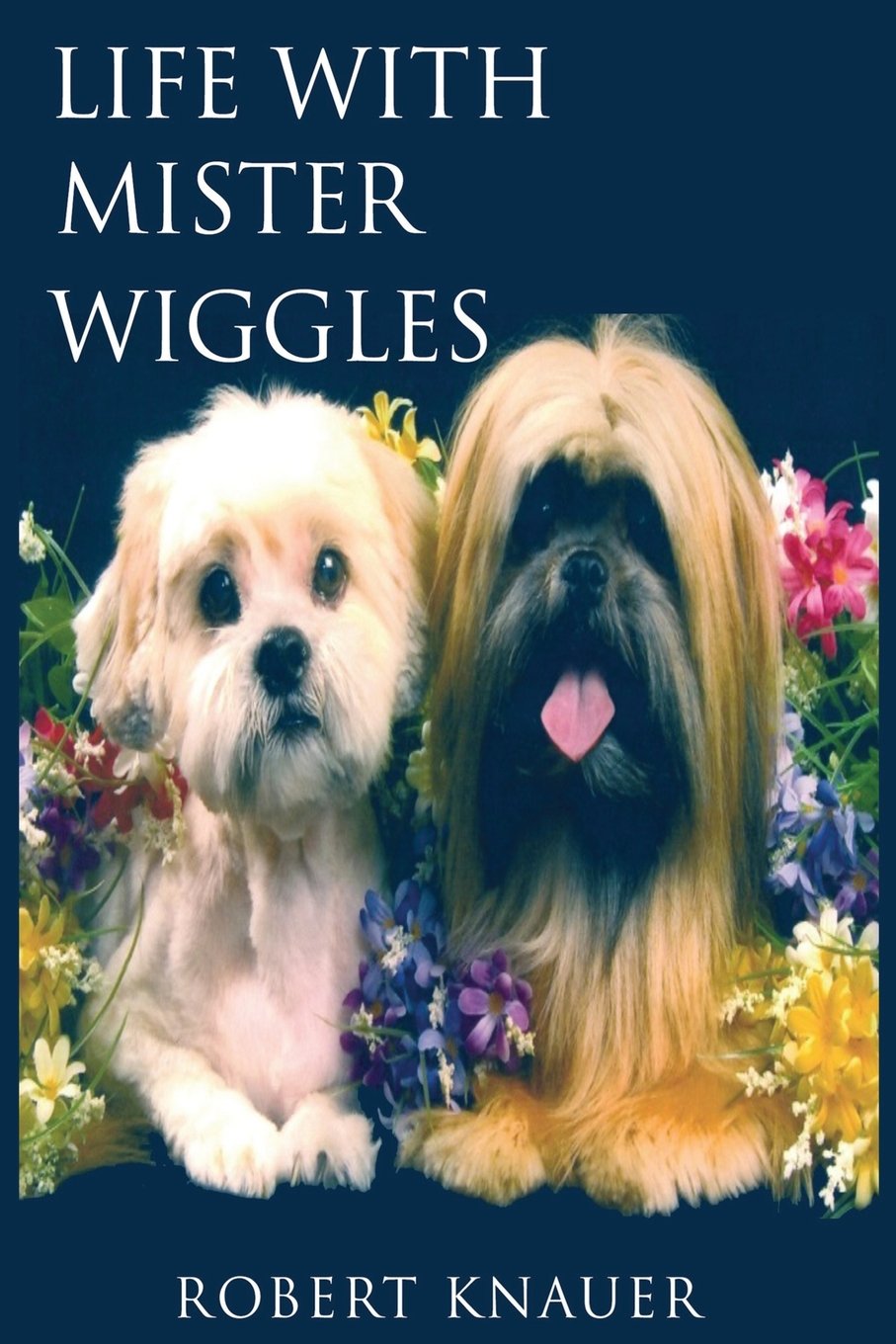 Life with Mister Wiggles: Knauer, Mr. Robert K., Knauer, Mr. Robert K ...