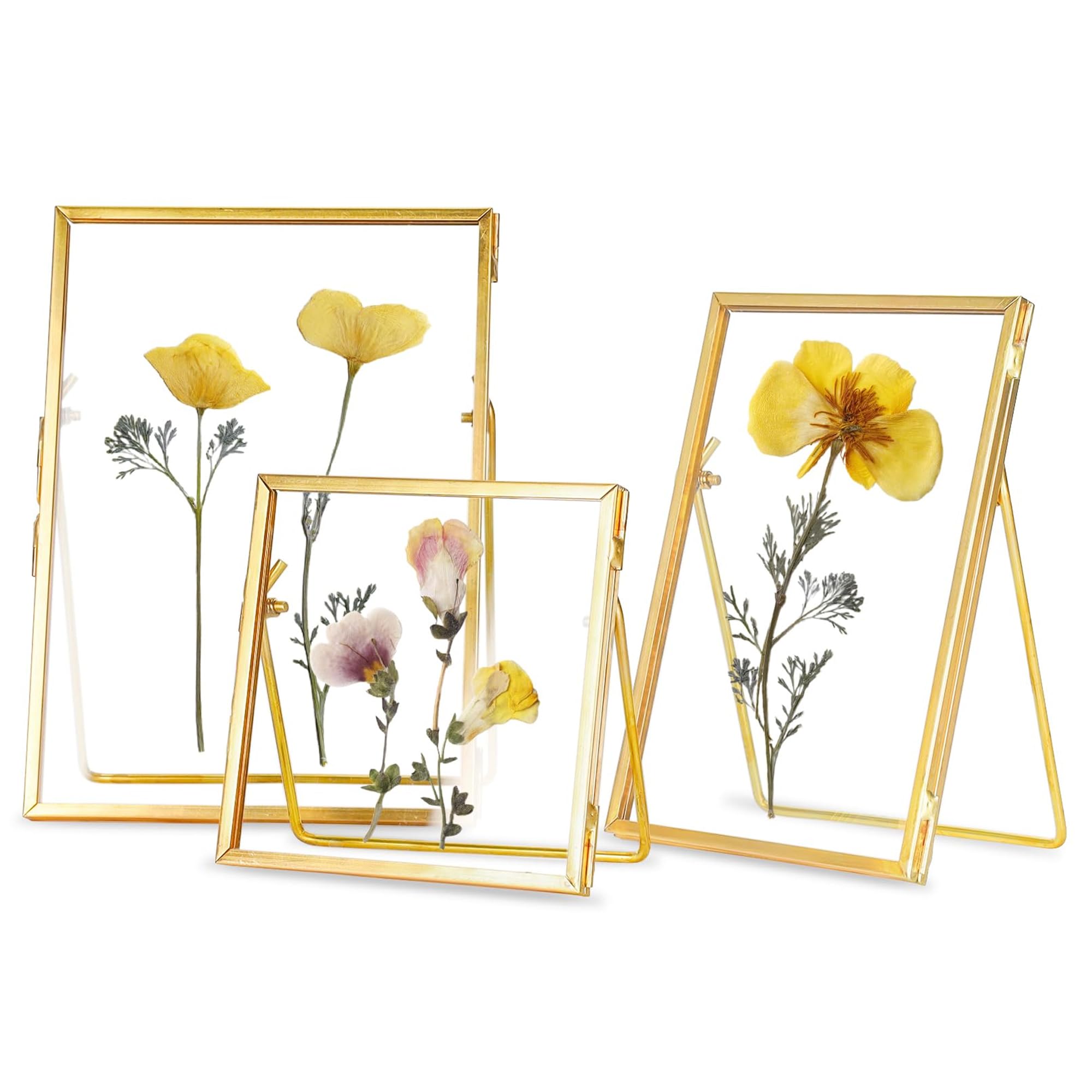 Amazon.com - REDHUGO Glass Frame for Pressed Flowers Handmade, Double ...