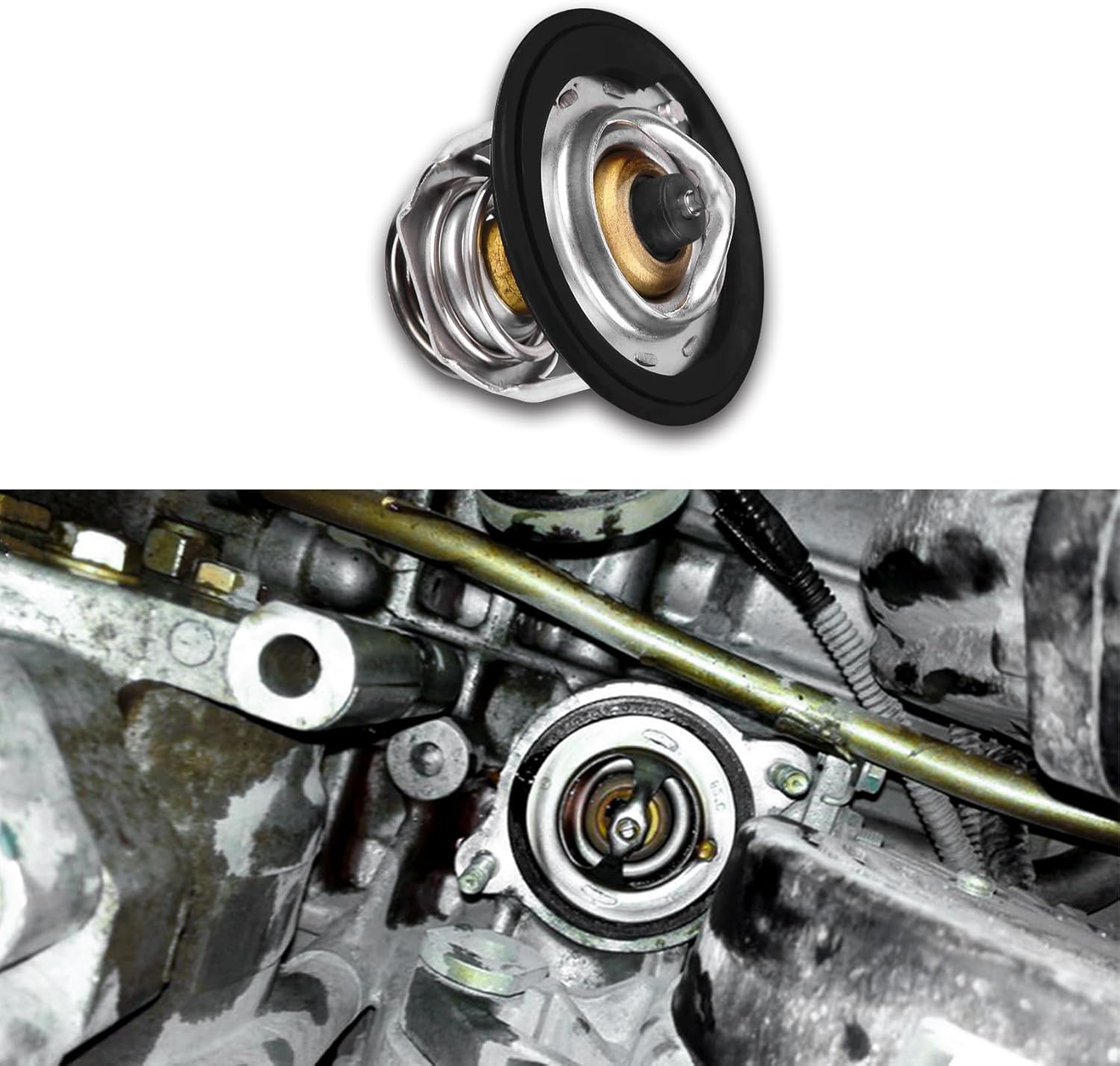 Amazon.com: Automotive Replacement Engine Thermostat, Engine Coolant ...
