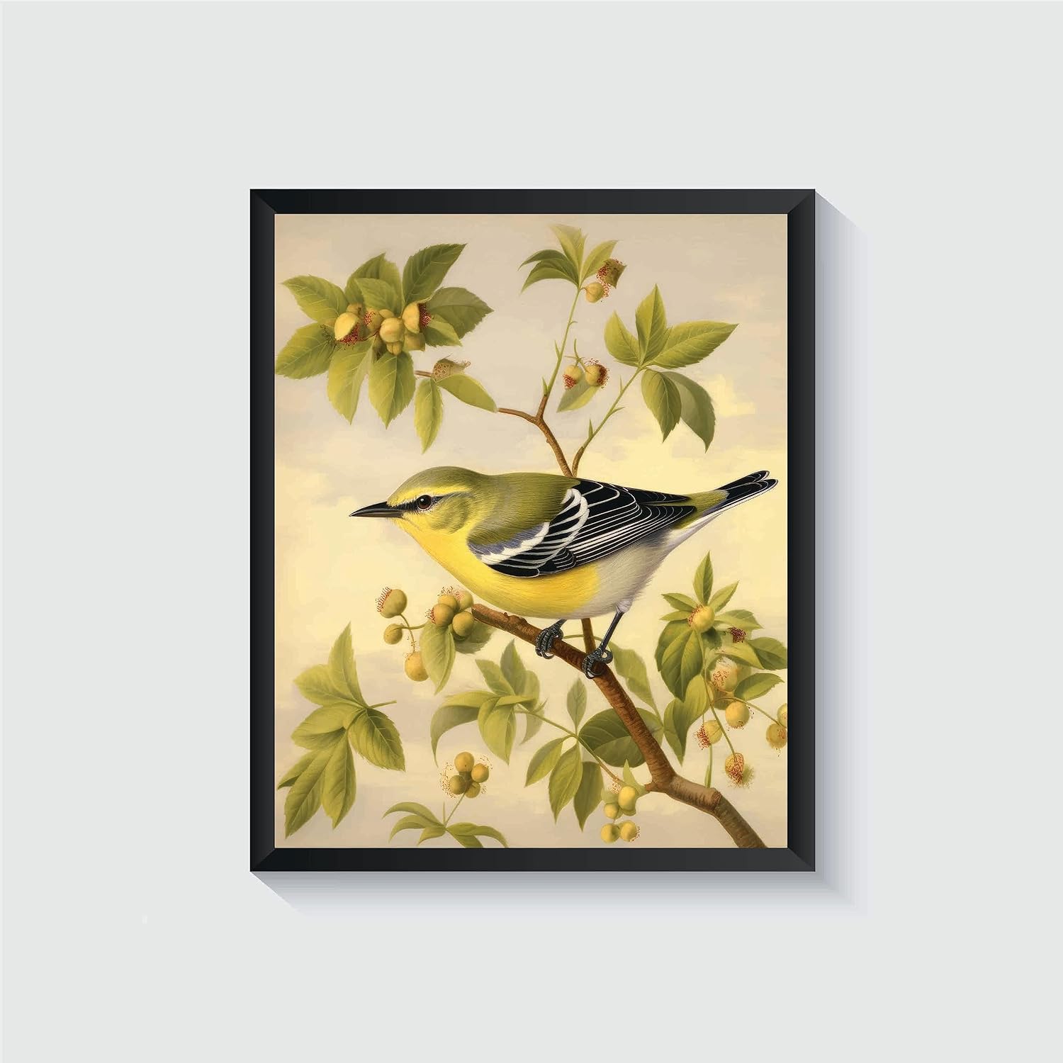 Amazon.com: Warbler Poster Art Print Retro Vintage Bird Wall Art Poster ...
