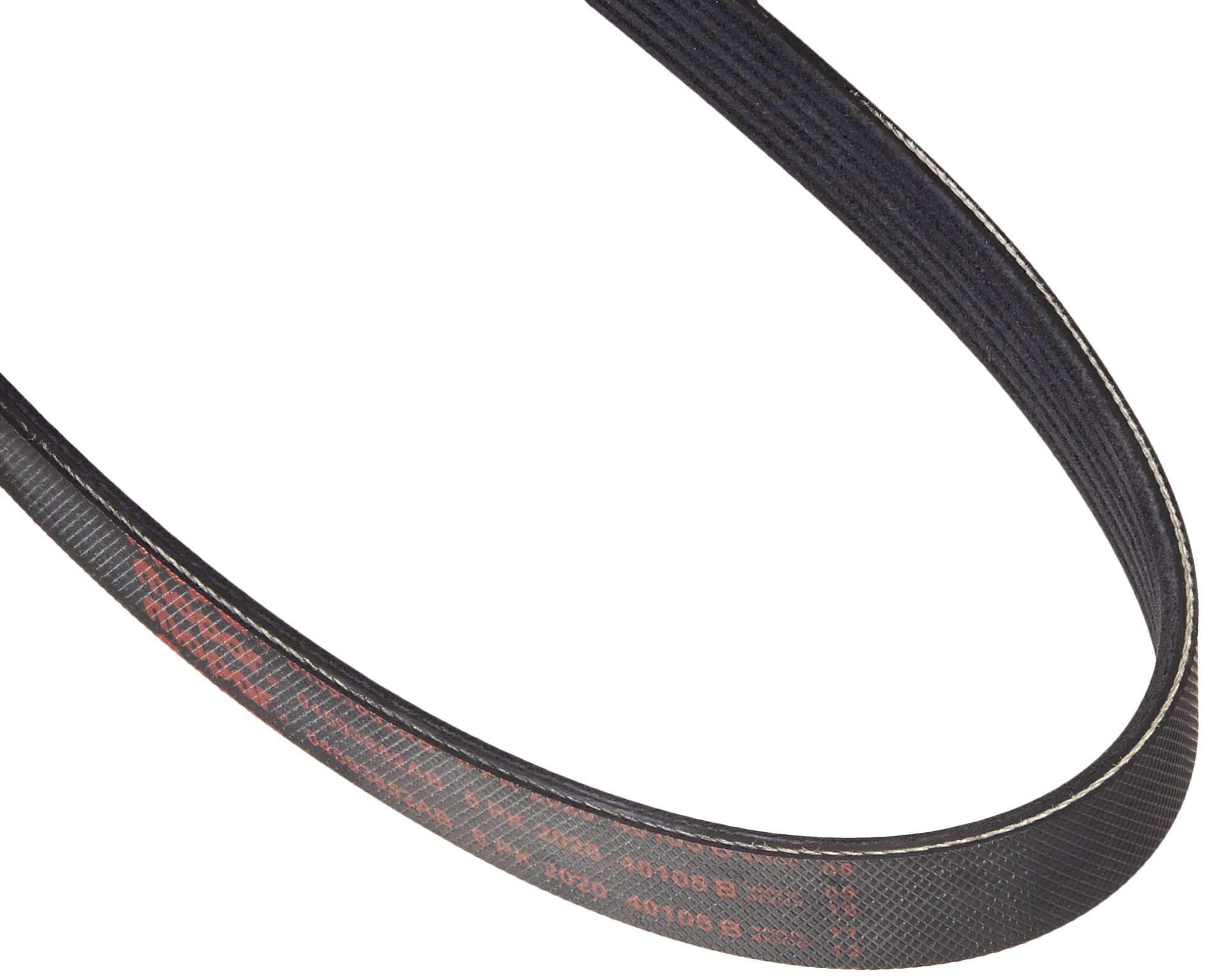 Amazon.com: Serpentine Belt : Automotive