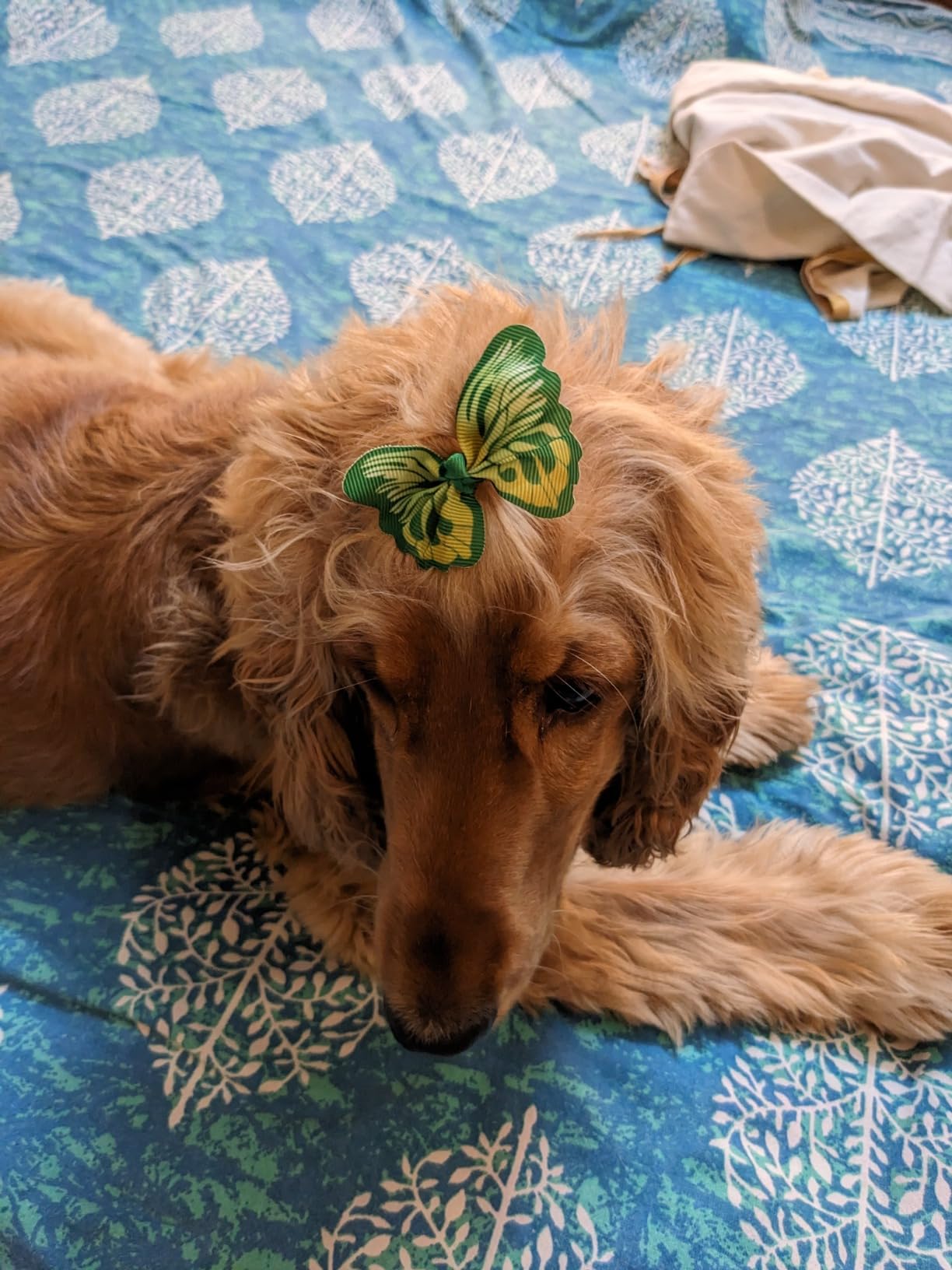 Gojira/Pets/Dogs/Cats Premium Butterfly Handcrafted Hair Bow/Bow-Knot ...
