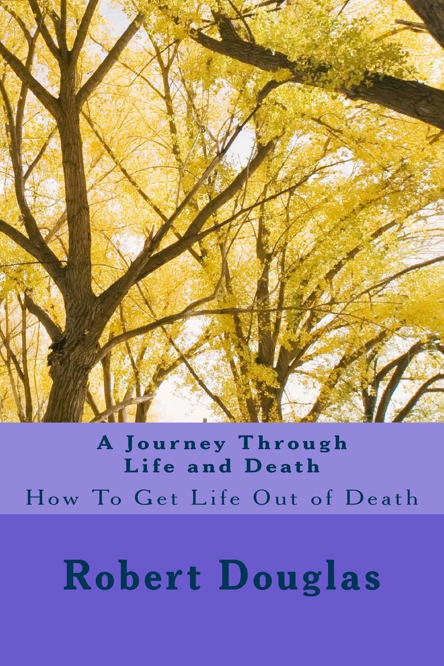 Amazon.com: A Journey Through Life and Death: How To Get Life Out of ...