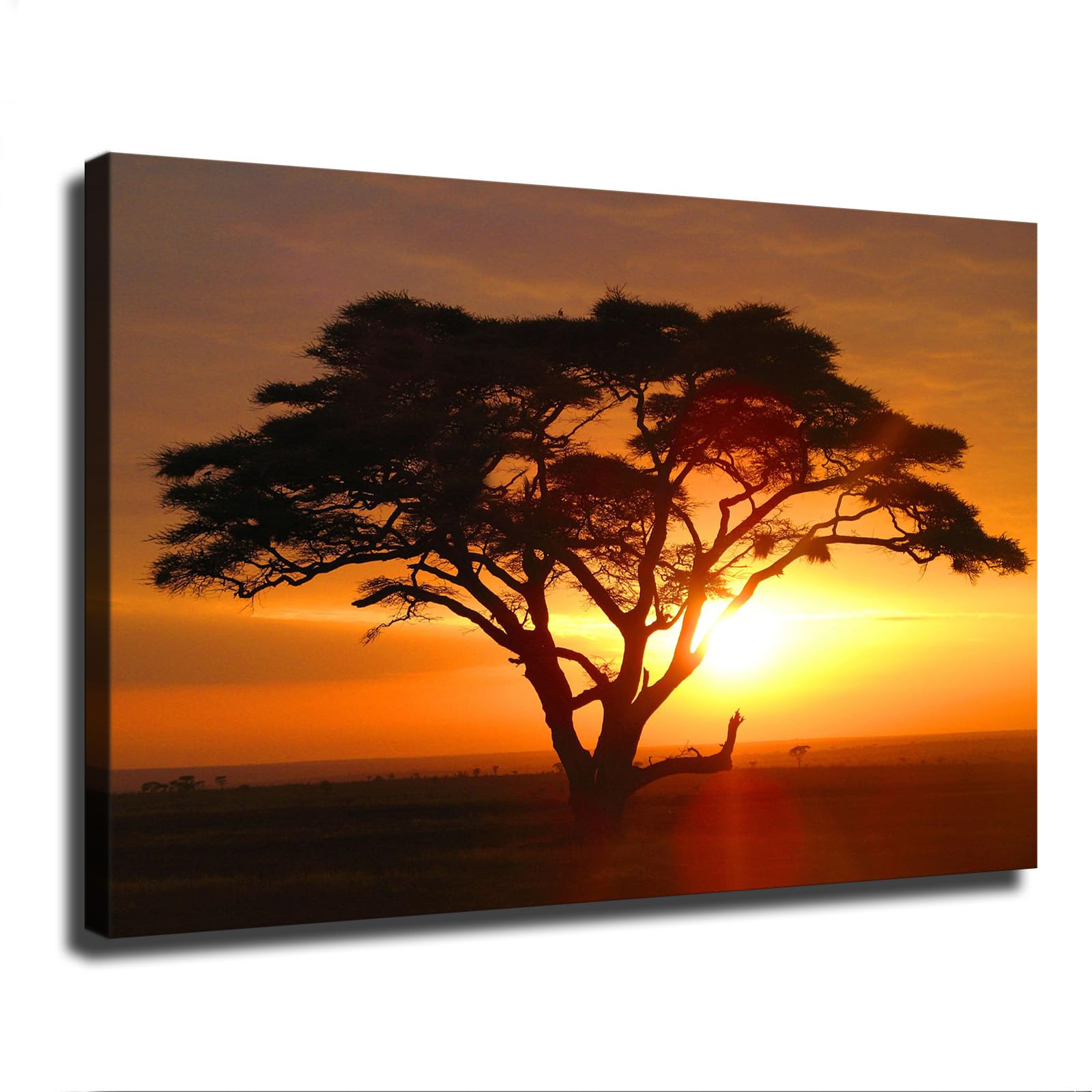 Acacia Tree Painting