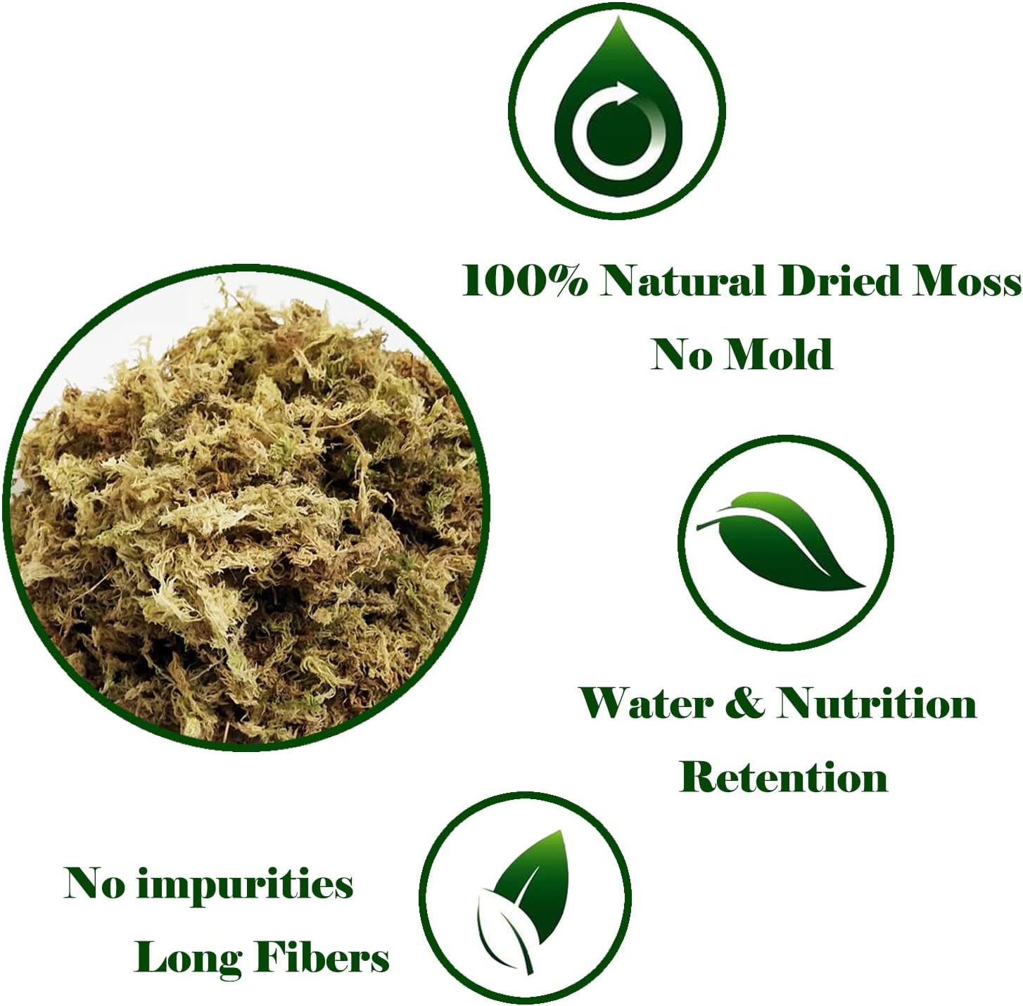 Sphagnum – Mezcla de musgo natural para macetas musgo seco 4 cuartos de ...