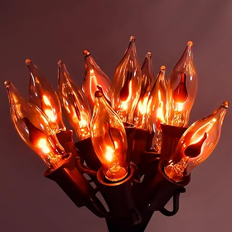 Amazon.com: Halloween Flickering Flame String Lights Decorations Indoor ...
