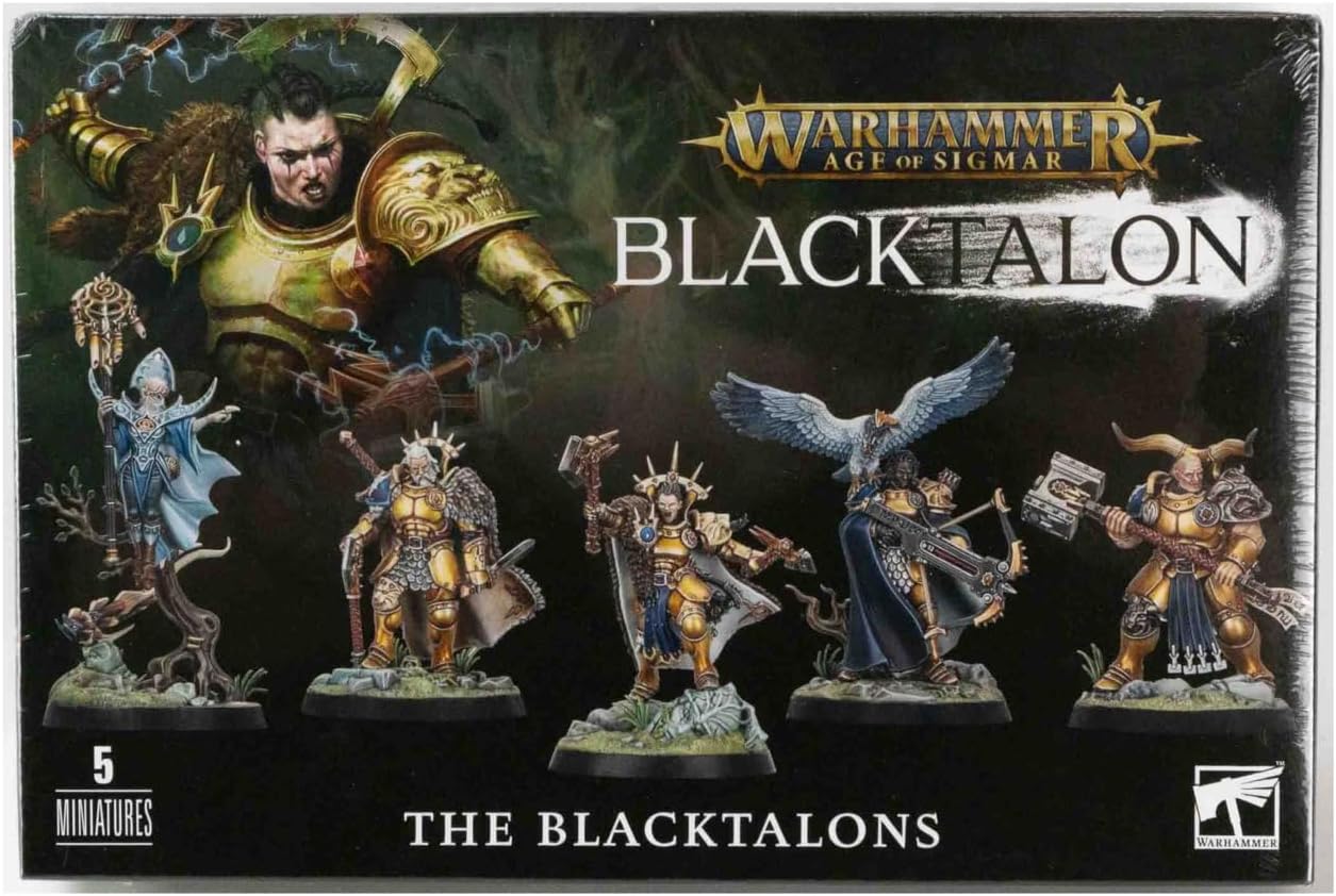 Amazon.com: Warhammer Age of Sigmar Games Workshop Start Collecting ...