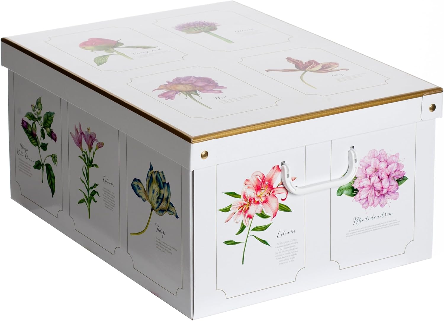 Stilvolle Aufbewahrungsbox Aus Karton Bilder