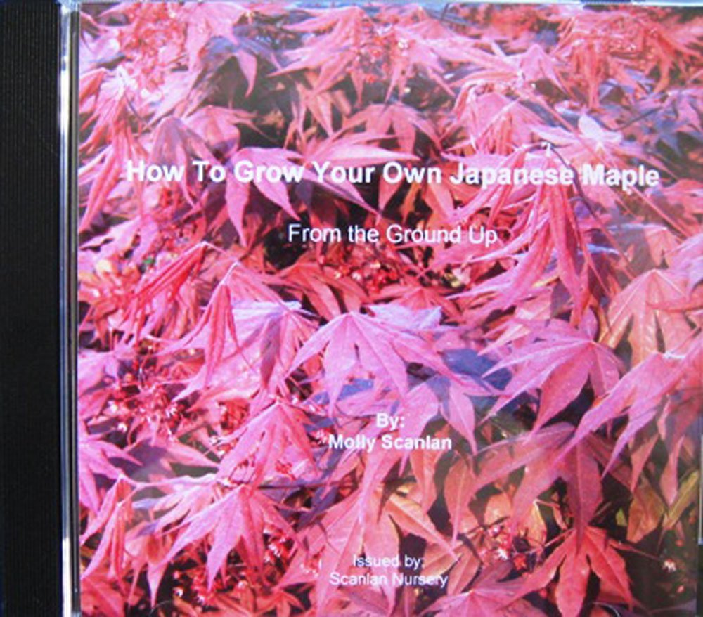 How To Grow Your Own Japanese Maple: Molly Scanlan, Molly Scanlan ...