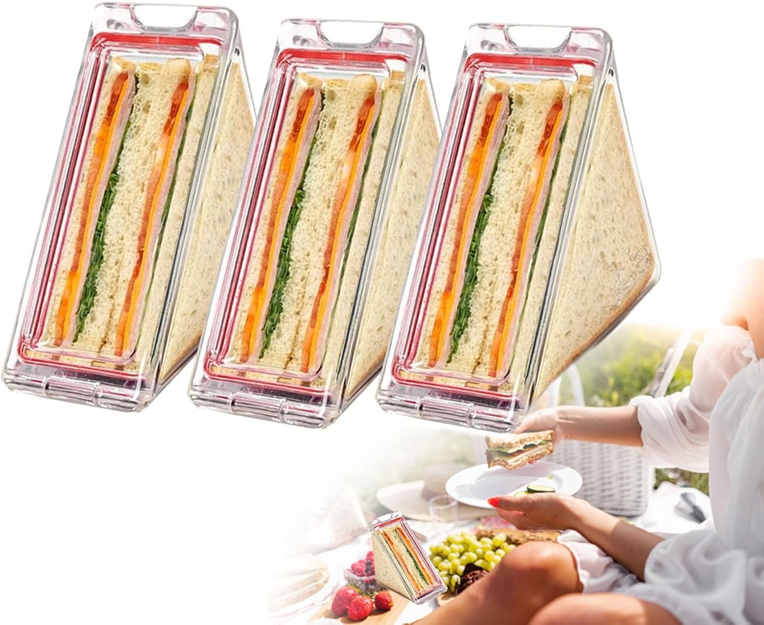 Amazon.com - Triangle Sandwich Container, Triangle Sandwich Container ...