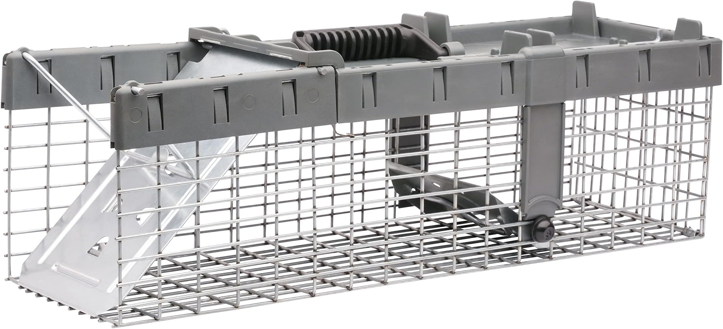 Amazon.com : Havahart 1026 Small 1-Door Humane Live Catch and Release ...