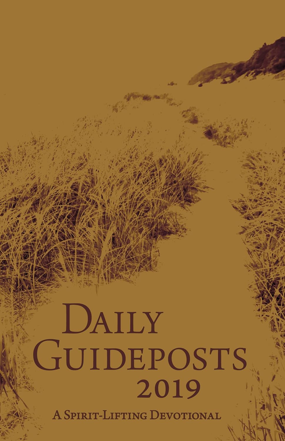 Daily Guideposts 2019 Leather Edition: A Spirit-Lifting Devotional ...