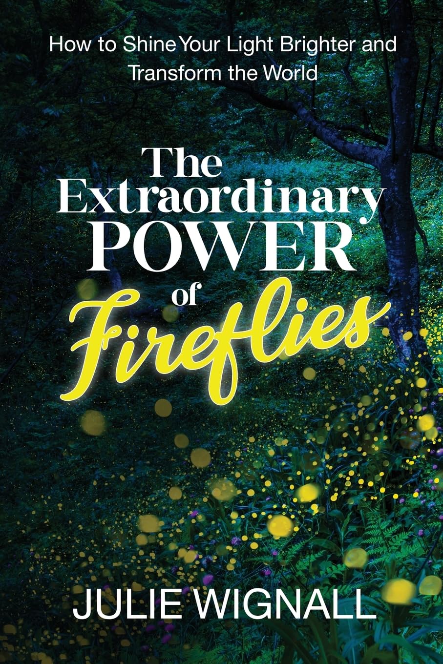 Amazon.com: The Extraordinary Power of Fireflies: How to Shine Your ...