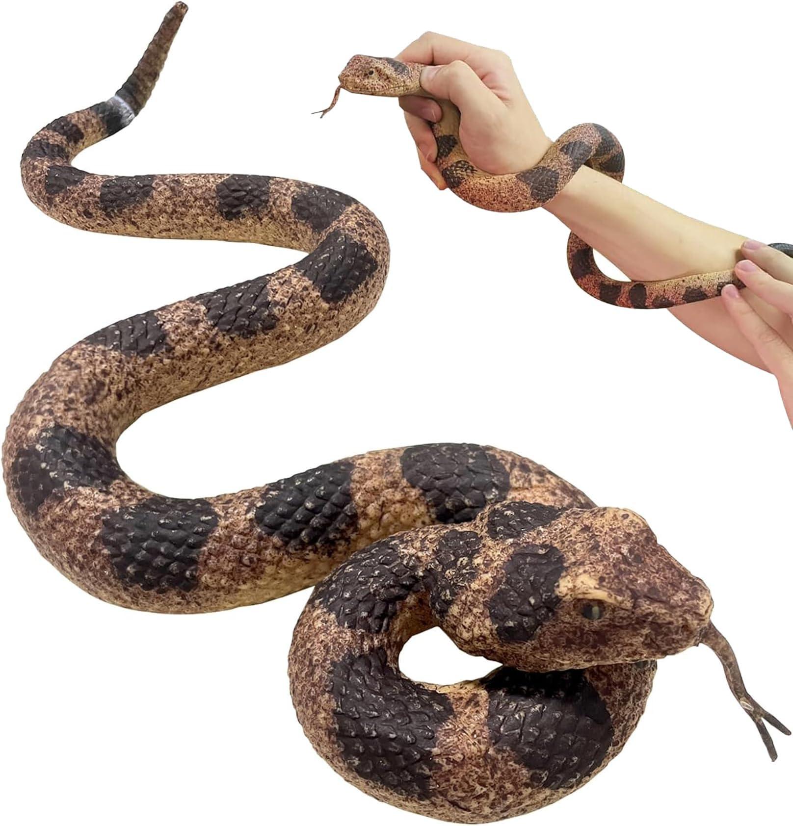 Amazon.com: Bristol Novelty AK043 Snake Large Rubber Prop : Bristol ...