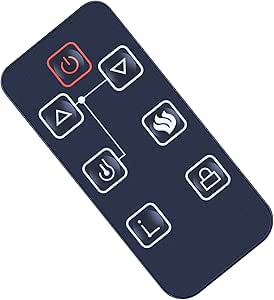 Amazon.com: ZWP Replacement Remote Control fit for FEBO Flame Electric ...