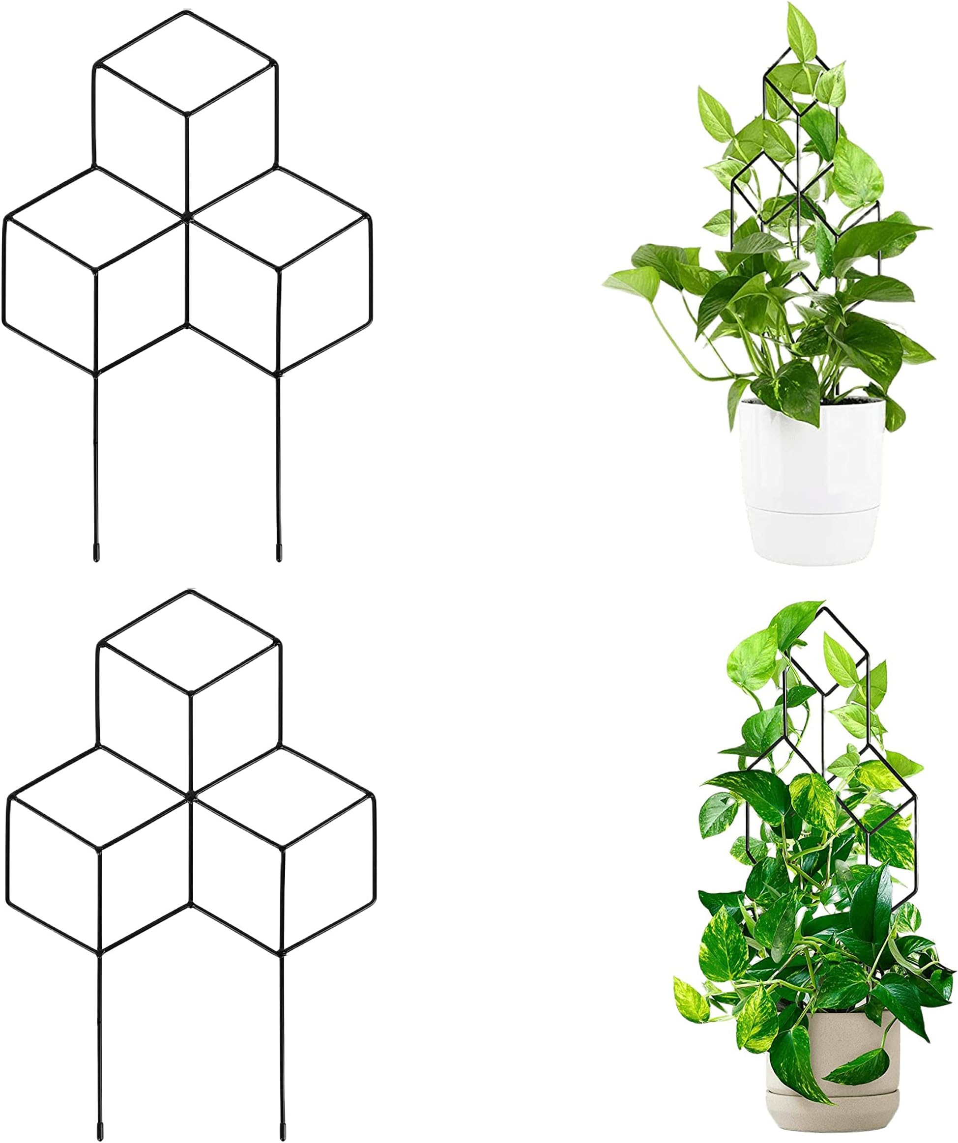 Amazon.com : 2 Pack Black Square Lattice Trellises, Indoor Plant ...