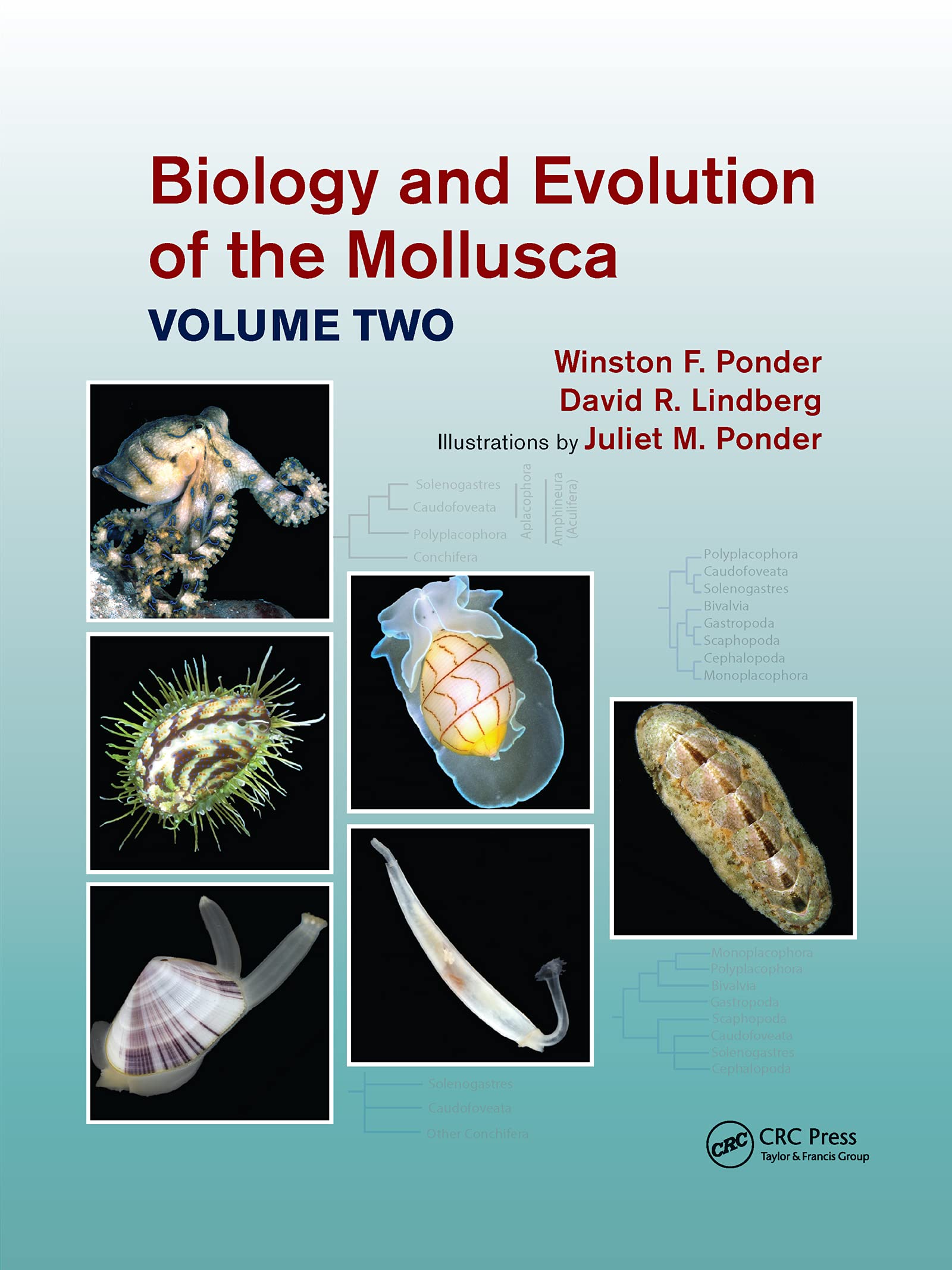 Biology and Evolution of the Mollusca, Volume 2: Ponder, Winston Frank ...