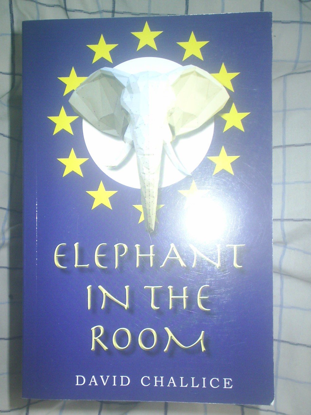 Buy Elephant in the Room Book Online at Low Prices in India | Elephant ...