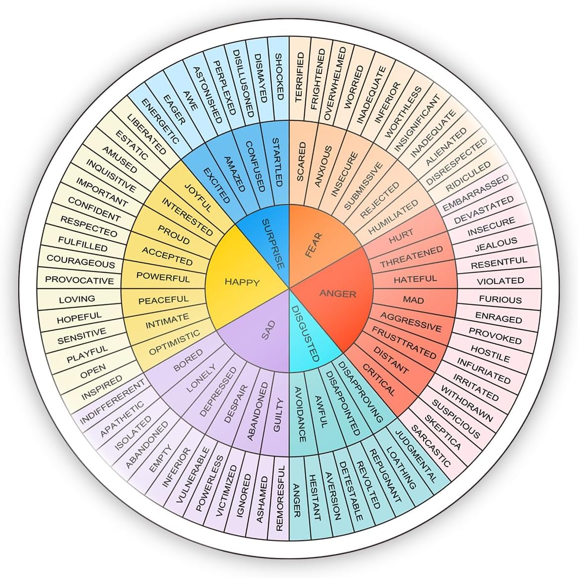 Amazon.com: Emotion Wheel Magnet 7 Inch - Emotions Chart Wheel Fridge ...