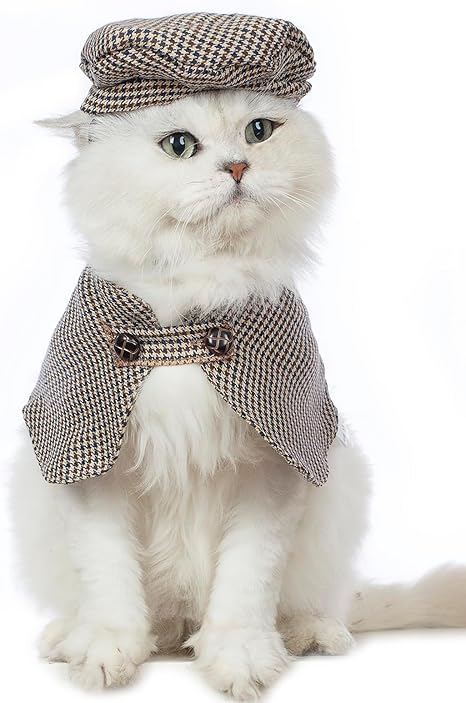 Amazon.com : Impoosy Cat Halloween Costume Cute Plaid Pet Clothes with ...