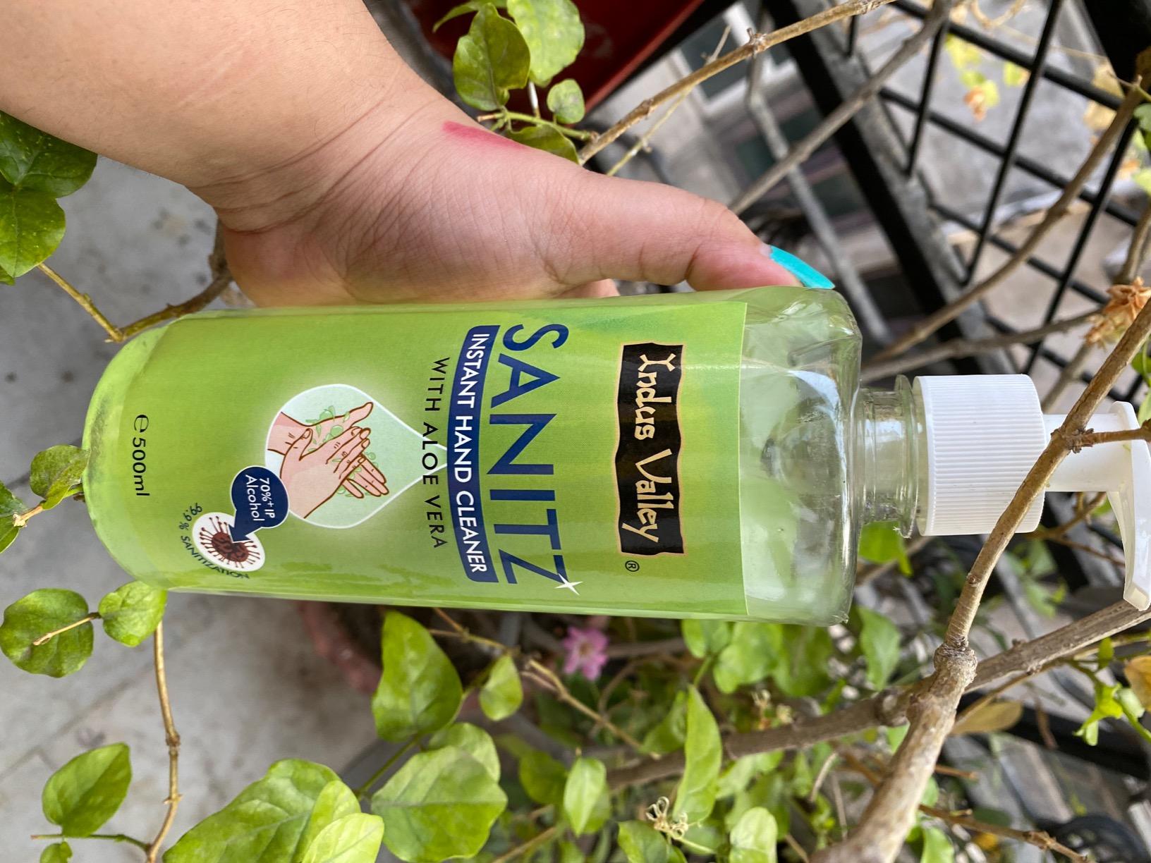 INDUS VALLEY Sanitz Instant Hand Cleaner with Aloe Vera (Hand Sanitizer ...