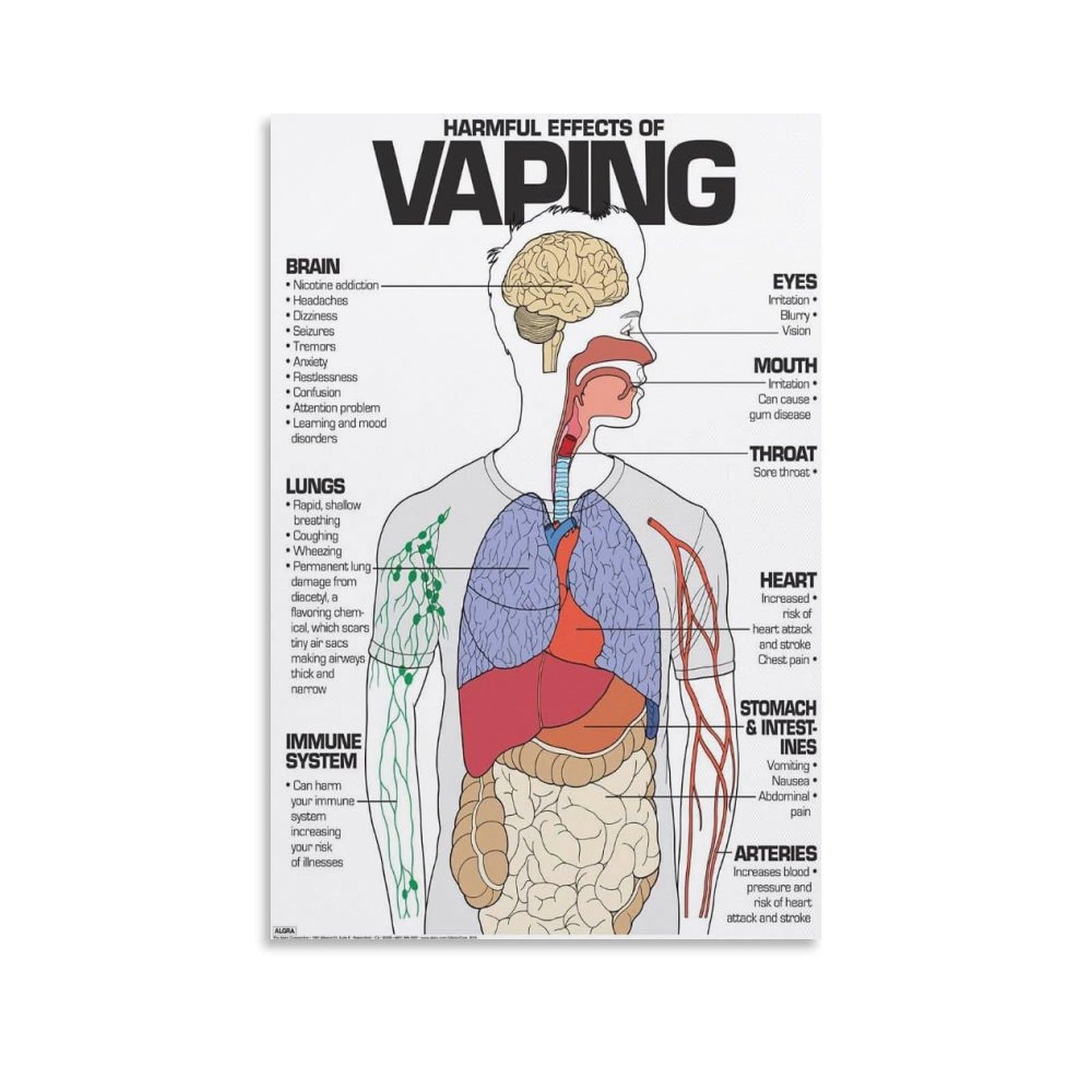 Amazon.com: Wall Decor Health And Drug Education Harmful Effects of ...