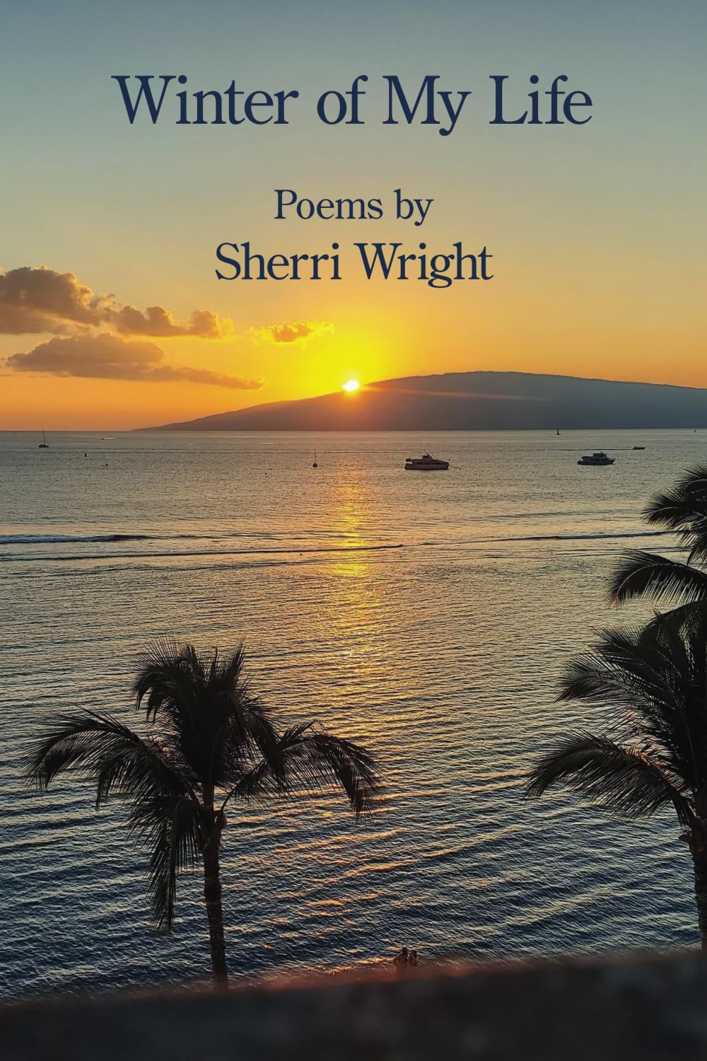 Amazon.com: Winter of My Life: 9781639806652: Wright, Sherri: Books