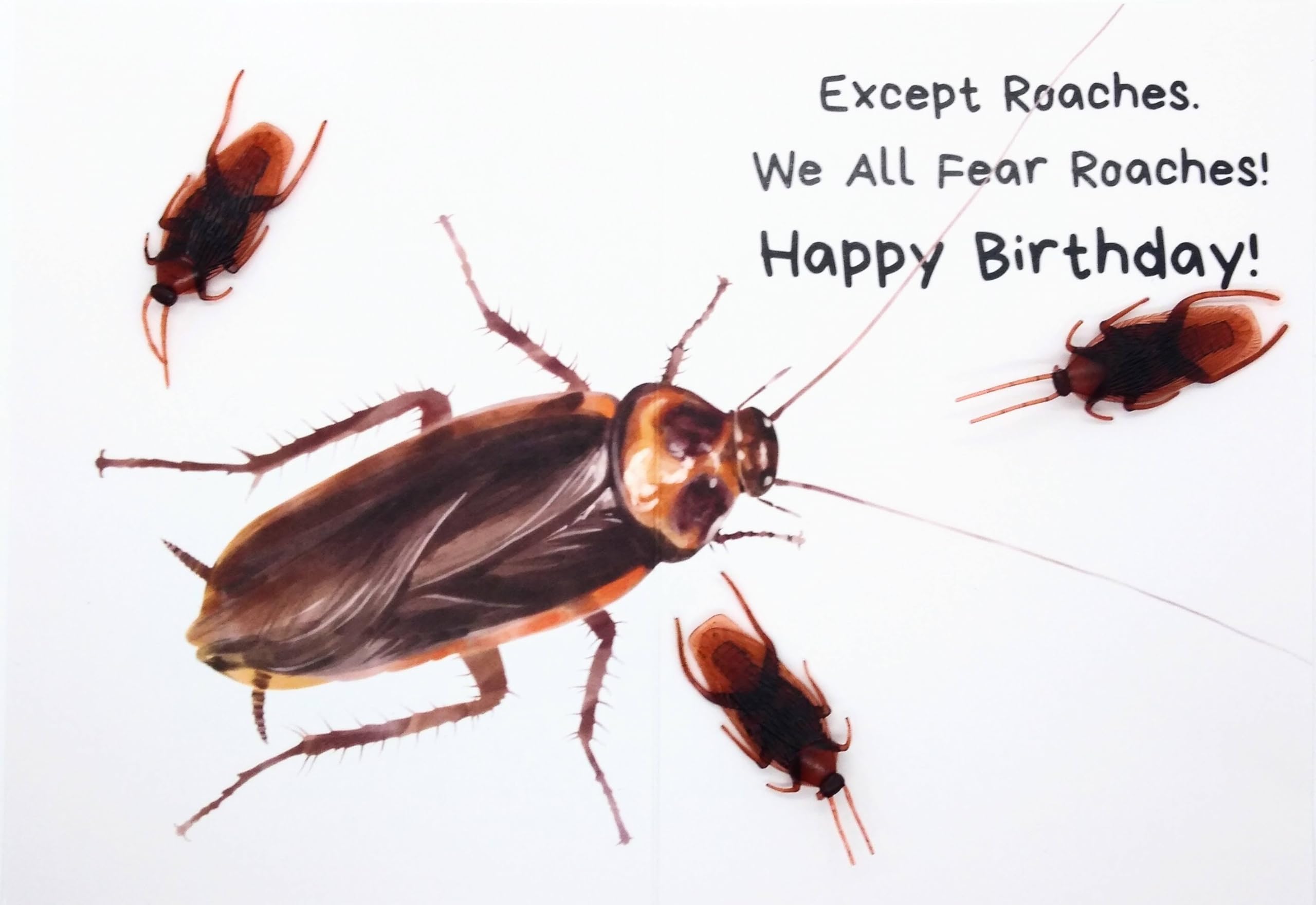 Funny Roach Memes Raphousetv (RHTV) On X: "Say What Now! Scientists