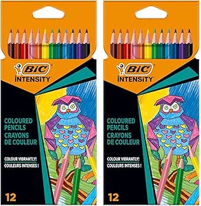 Bic Color Up Colouring Pencils - Assorted Colours, Pack of 24 : Amazon ...