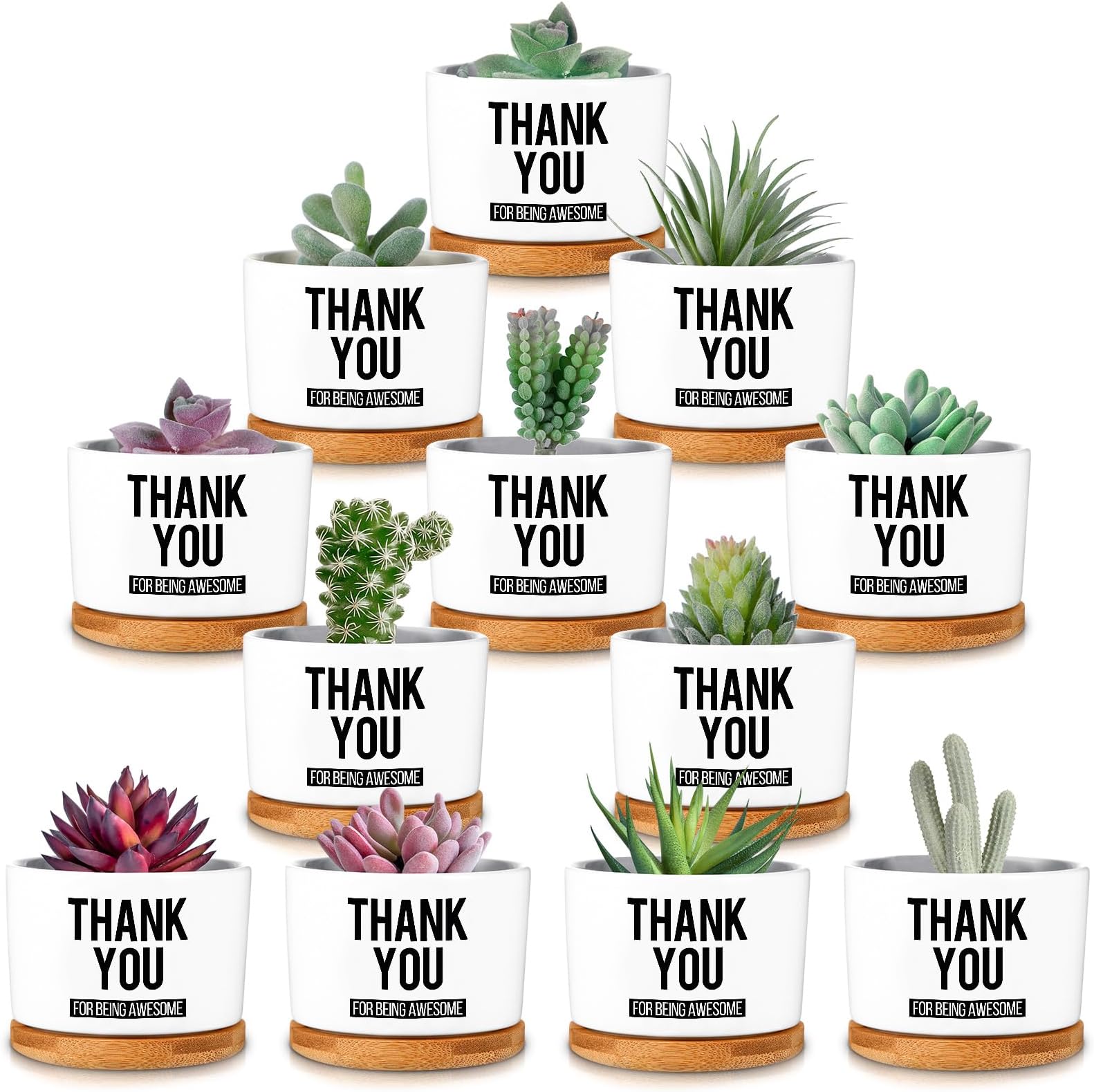 Amazon.com: Seewey 12 Pack Succulent Pots Thank You Appreciation Gift ...