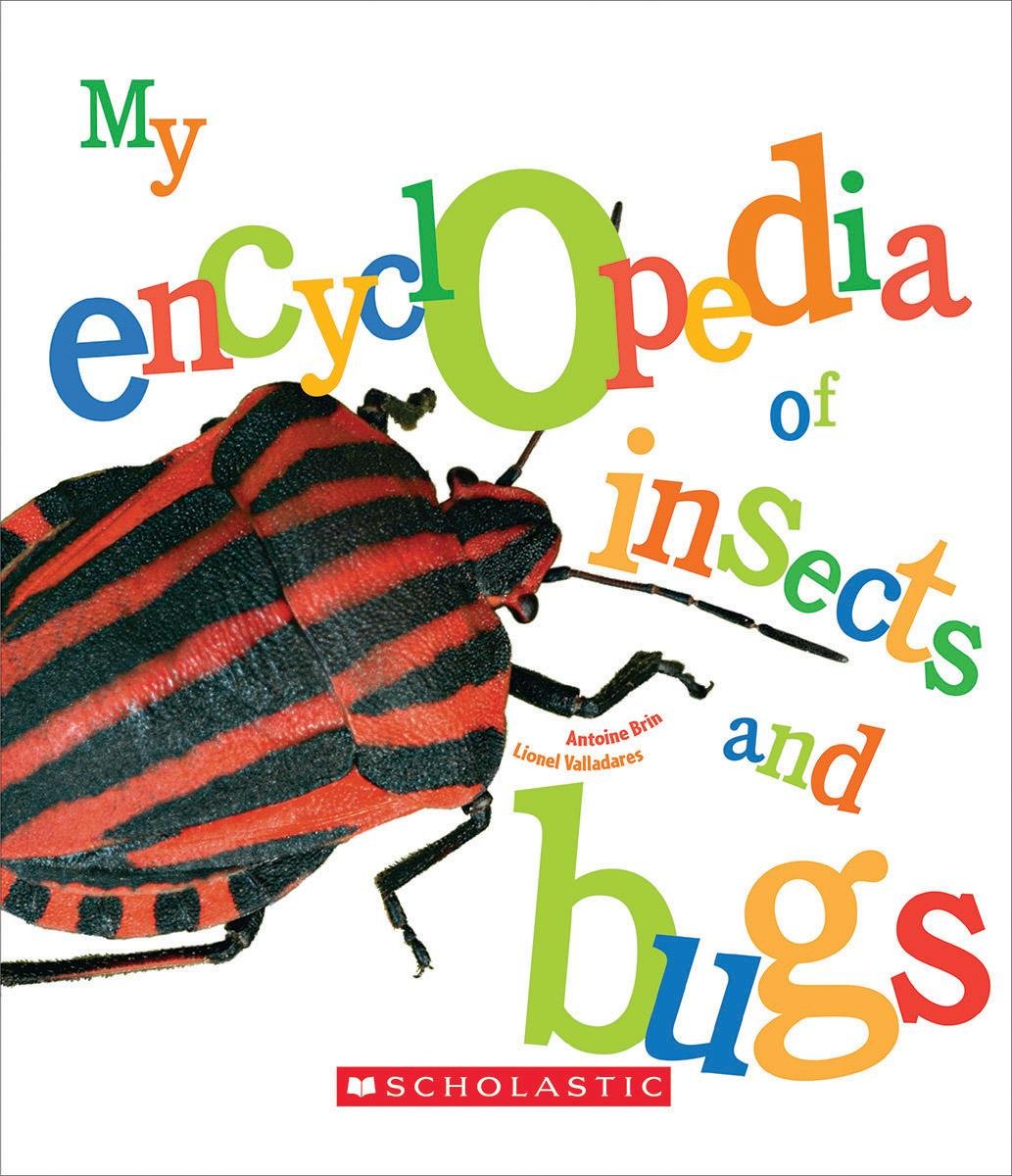 My Encyclopedia of Insects and Bugs (My Encyclopedia): Brin, Antoine ...