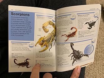 Pocket Genius: Bugs: Facts at Your Fingertips: DK: 9781465445605 ...