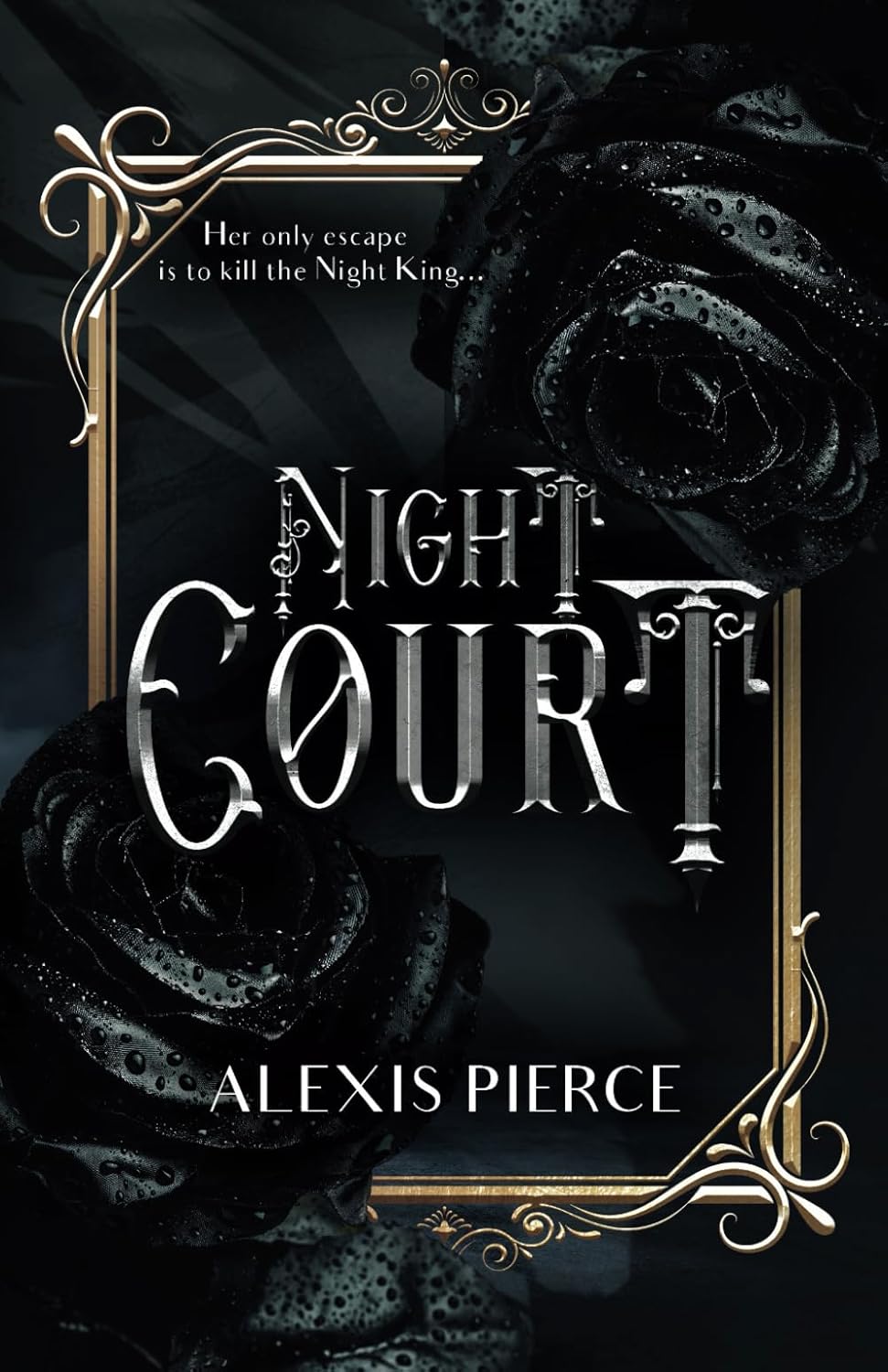 Amazon.com: Night Court: Full Series: 9798864037119: Pierce, Alexis ...