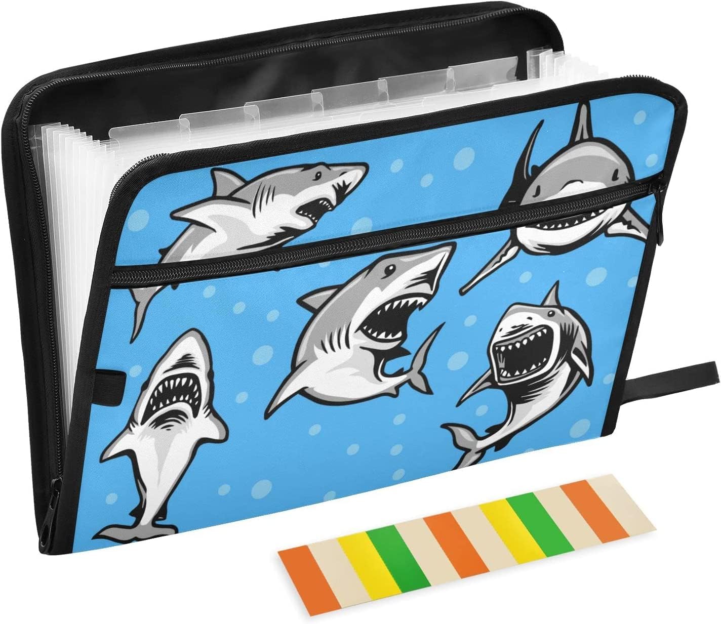 Amazon.com : Plastic Wallets a4 Stapler Wallet folders Folder with ...