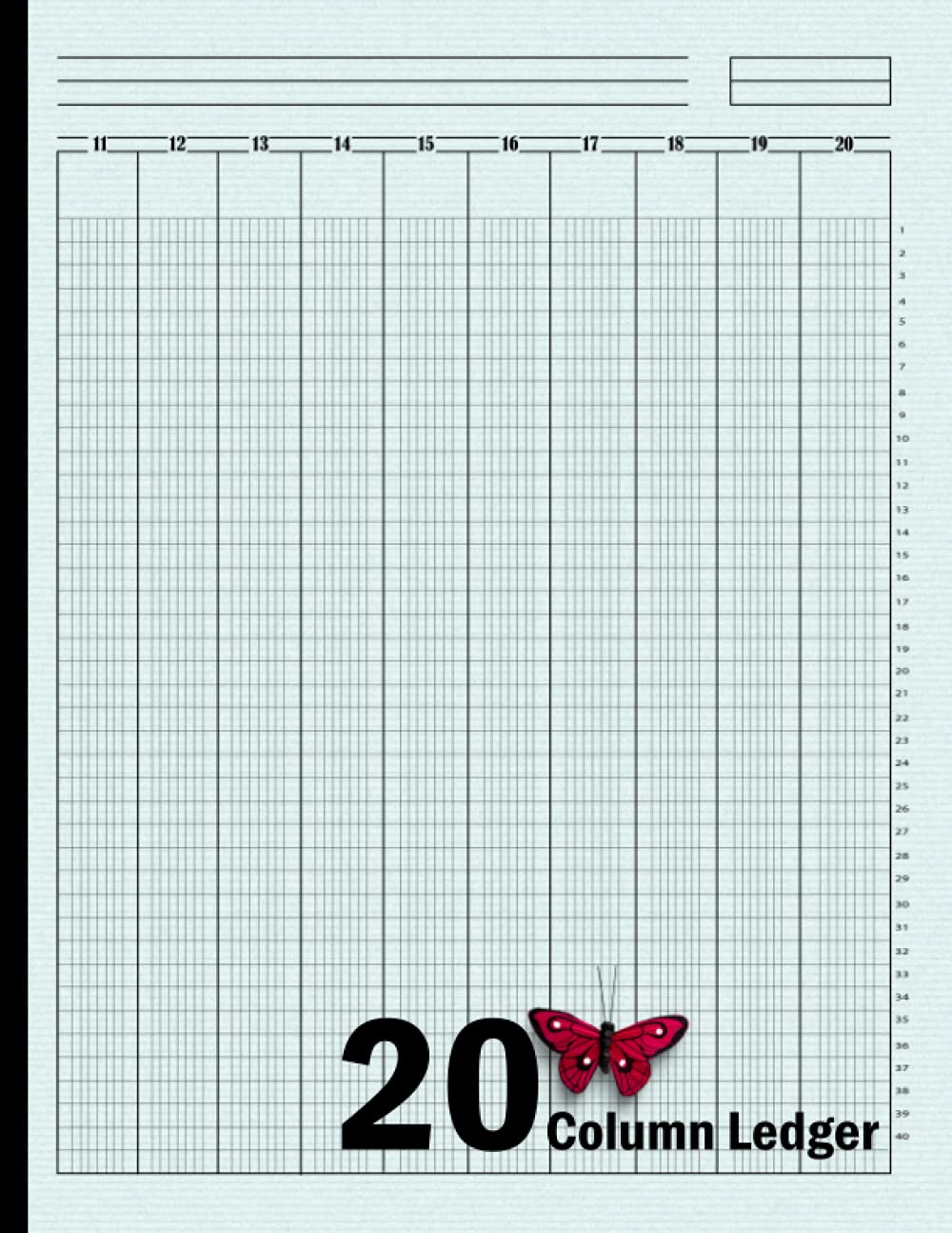 Amazon.com: 20 Column Ledger Book: Account ledger book 20 column ...